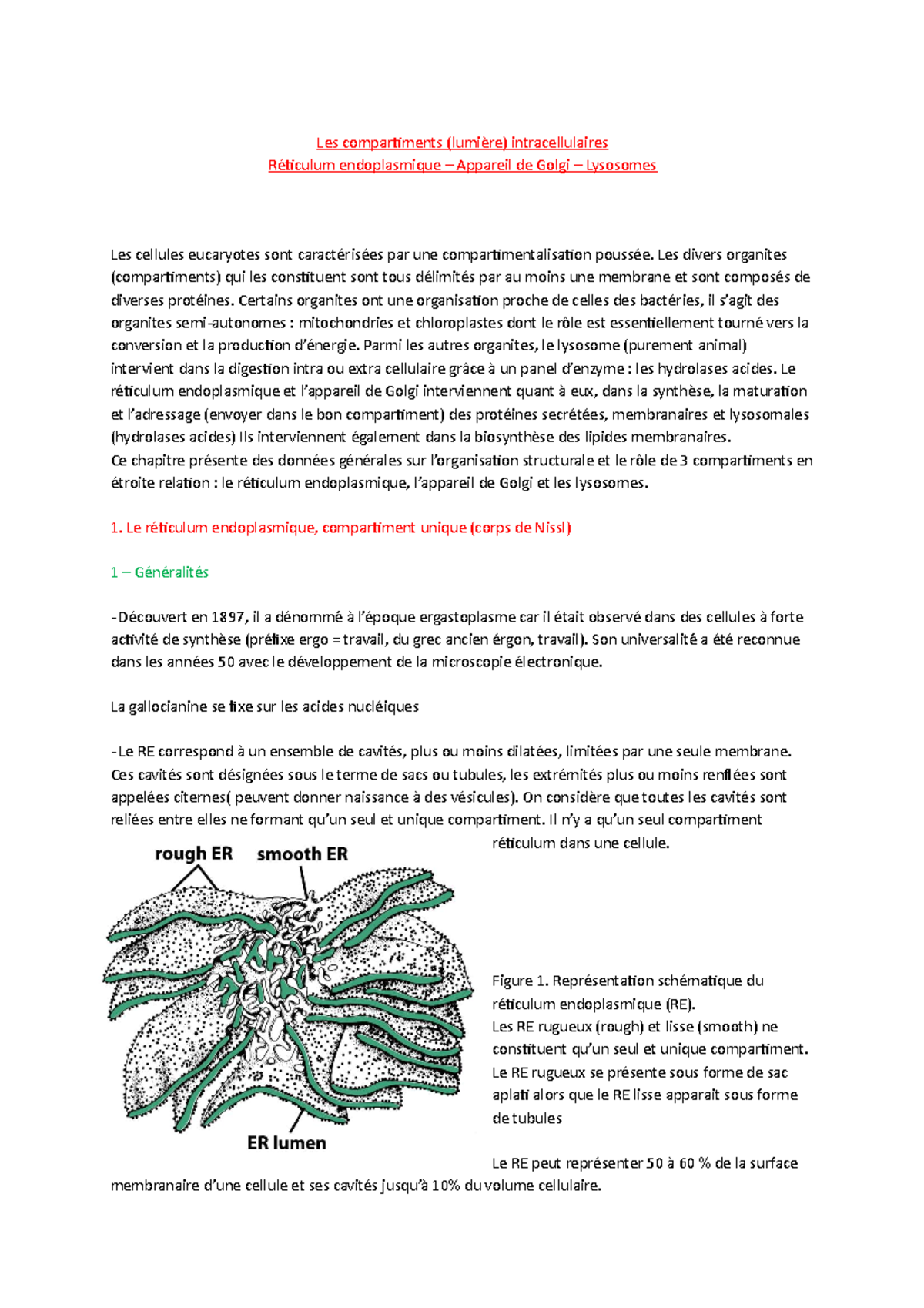 Les compartiments intracellulaires - Les compartiments (lumière ...