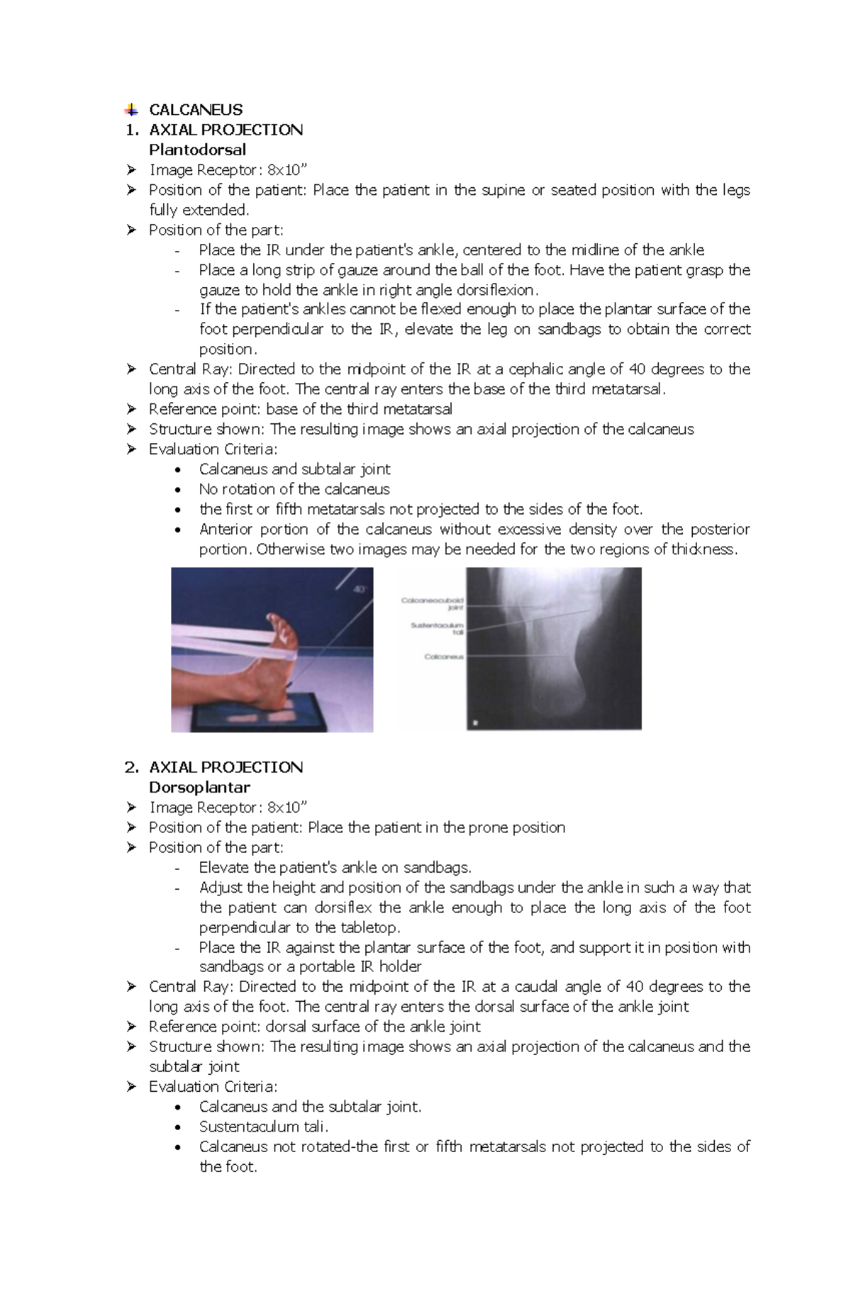 Radiography Techniques for Lower Limb: Calcaneus & Ankle Projections ...