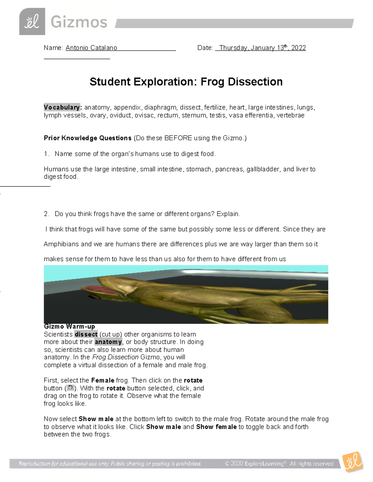 553228345 Frog Dissection Gizmo - Name: Antonio Catalano Date: Thursday ...