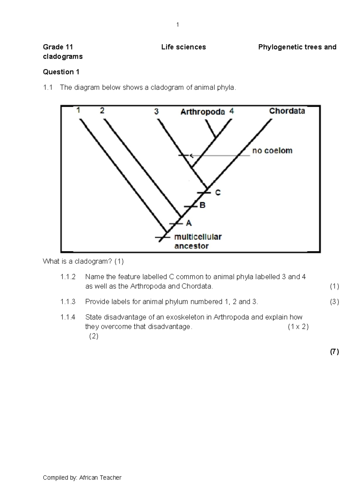 Grade 11 Life Sciences: Phylogenetic Trees & Cladograms Activity - Studocu