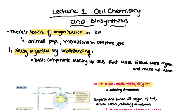 transcription/translation - Lecture 1: Cell Chemistry and Biosynthesis ...
