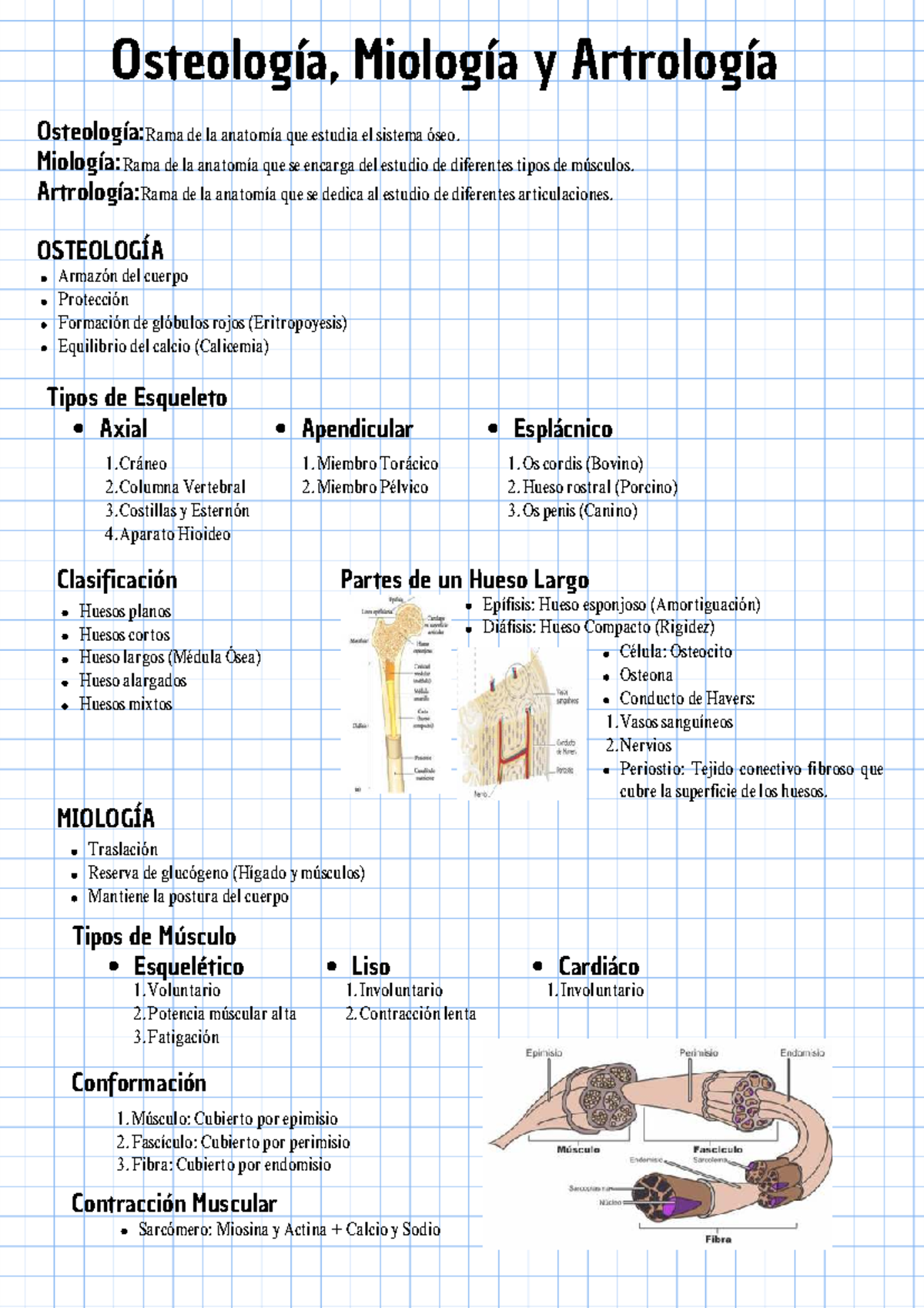 Osteología, Miología y Artrología: Conceptos Clave y Estructuras - Studocu