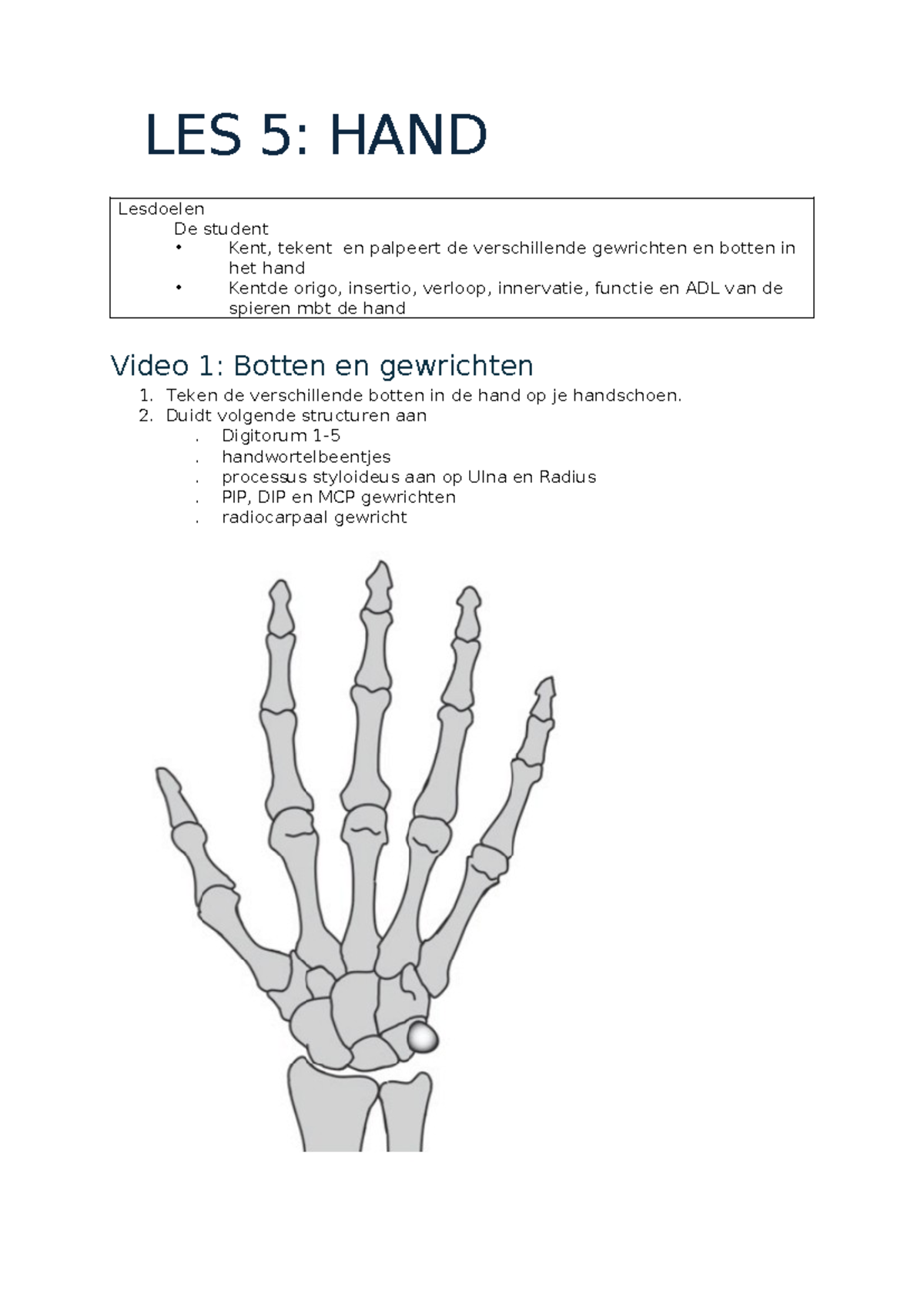 LES 5: Anatomie en Functies van de Hand en Gewrichten - Studocu