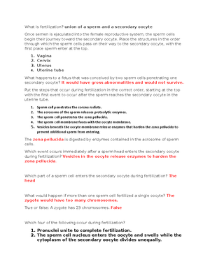 Weeks 7 and 8 Lesson Plan (Student Version) revised 122023 - Nursing ...