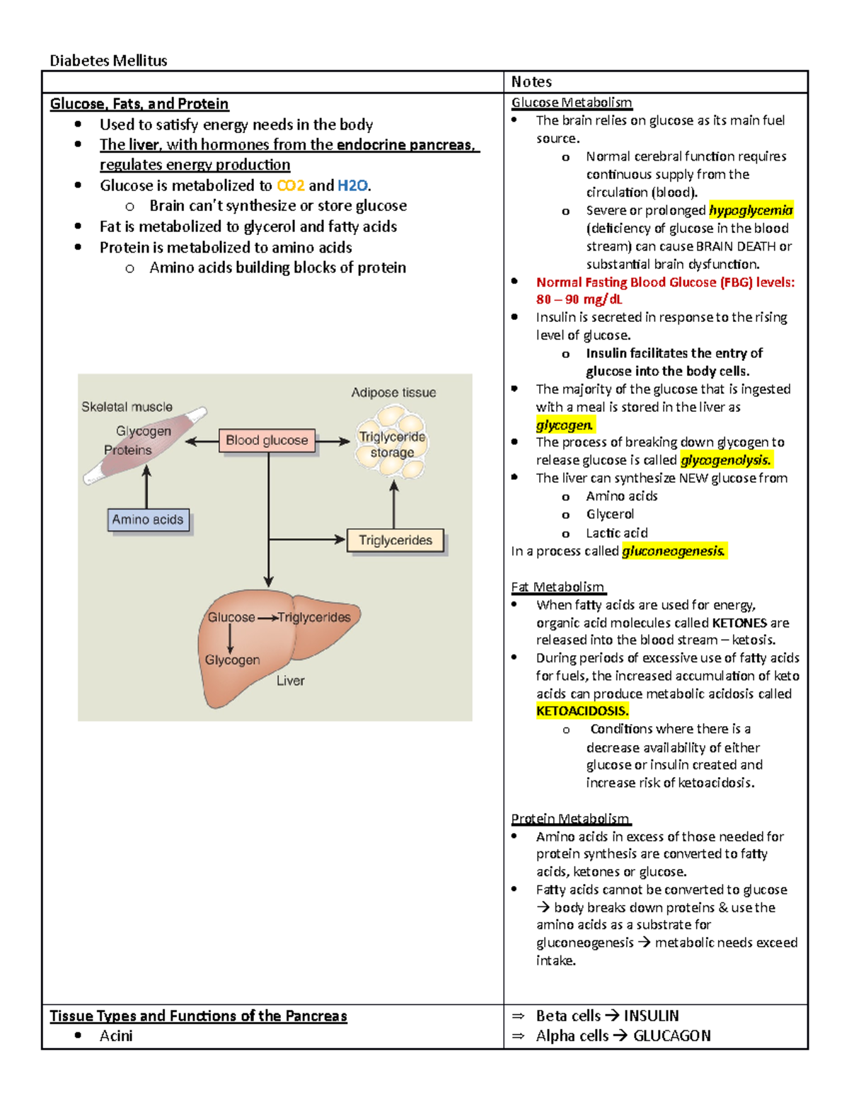 Diabetes Mellitus Pathophysiology Lecture notes - Notes Glucose, Fats ...