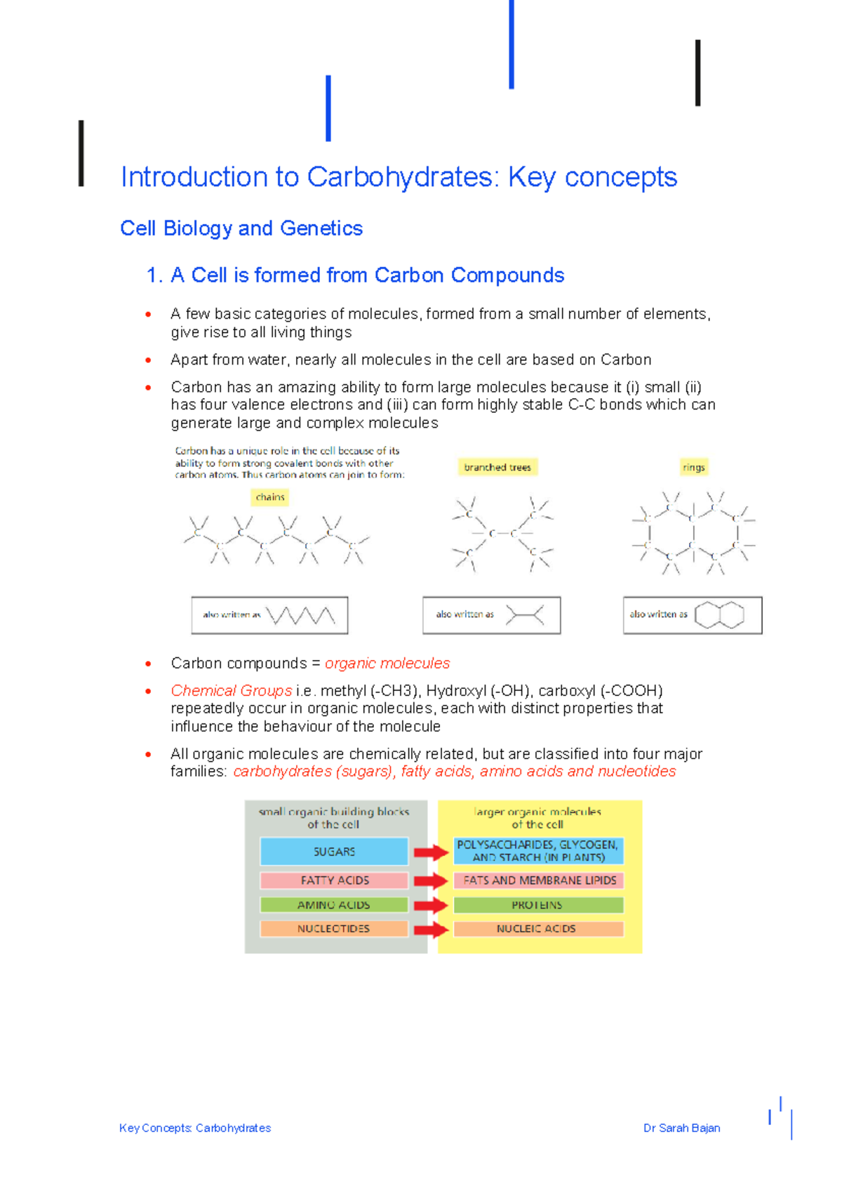 Key Concepts Carbohydrates-1 - Introduction to Carbohydrates: Key ...
