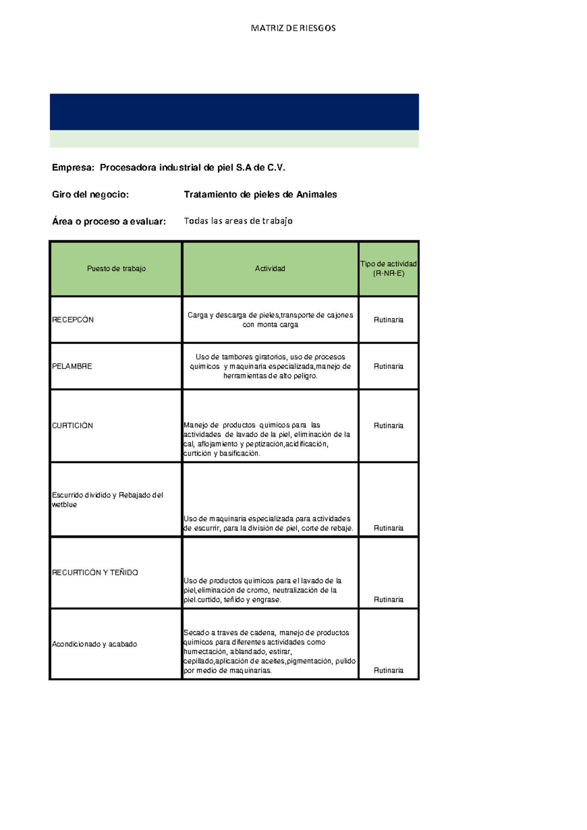 MATRIZ DE RIESGOS: Auditoría de Seguridad II en Procesadora de Piel S.A ...