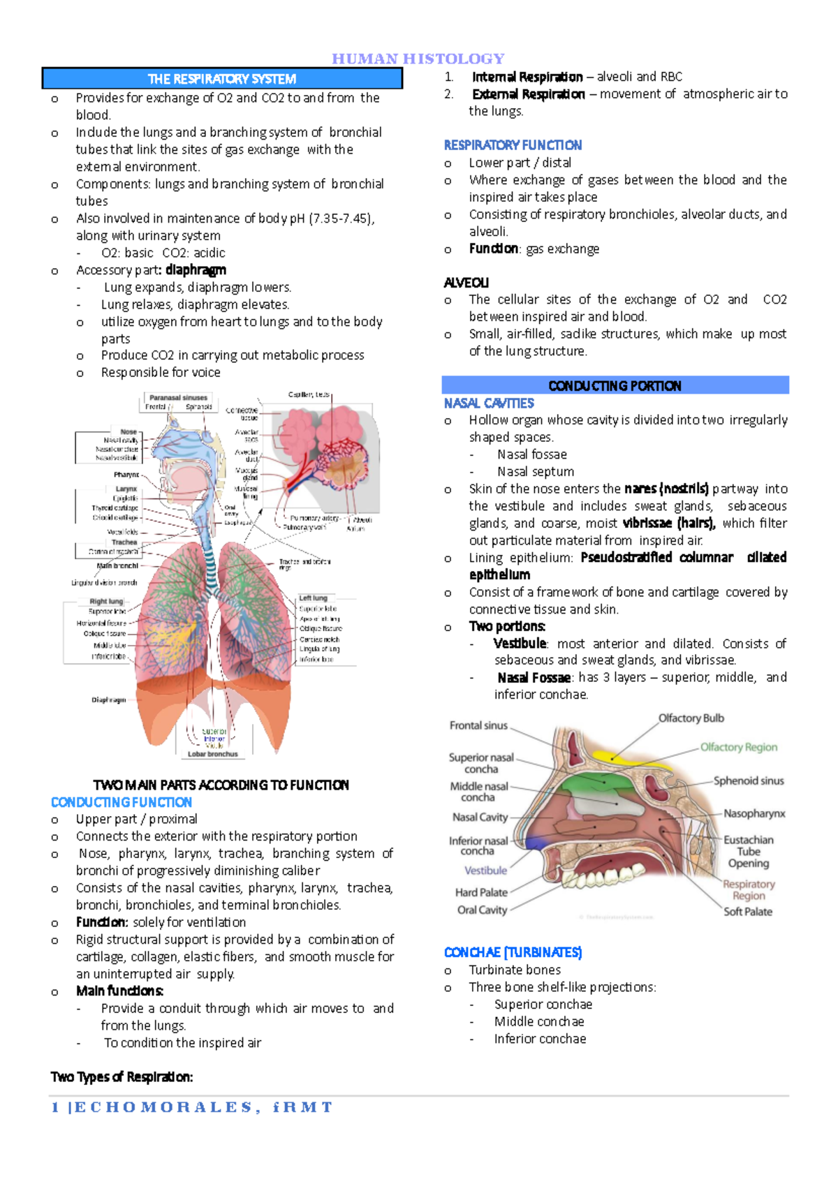 THE Respiratory System - THE RESPIRATORY SYSTEM o Provides for exchange ...
