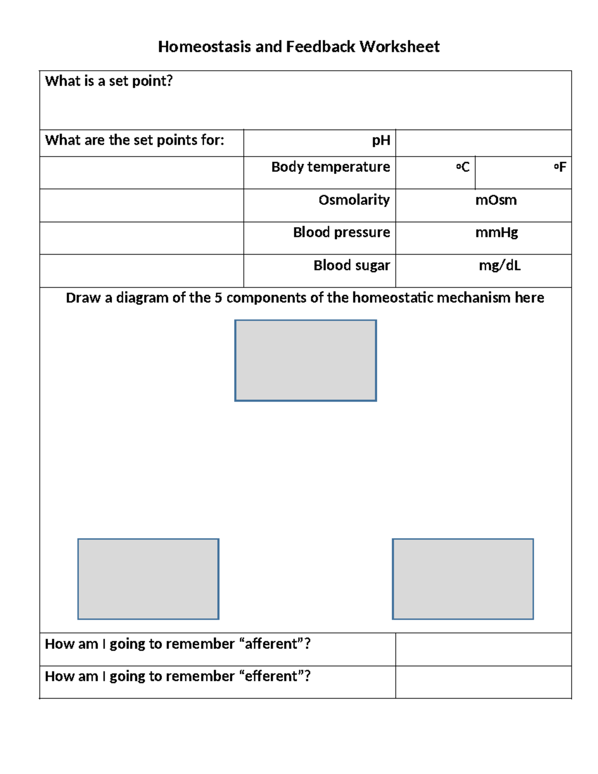 Homeostasis and Feedback Worksheet (BIO 101) - Studocu