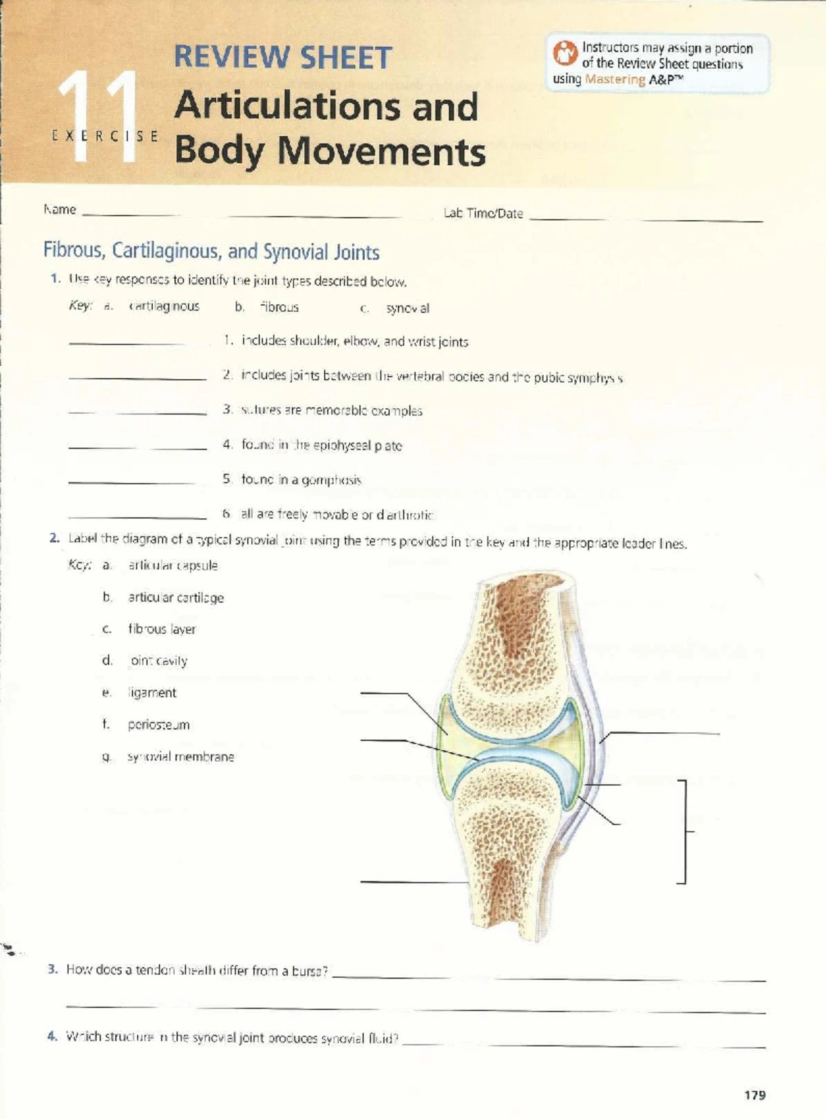 AP - Lab Ex. 02 Review sheet chapter 2 Organ systems overview - BIO 111 ...