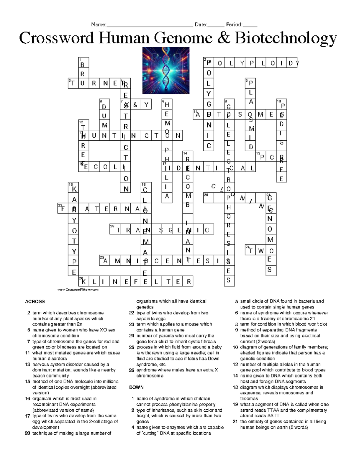 Crossword Puzzle: Human Genome & Biotechnology (Course 1 2 B) - Studocu