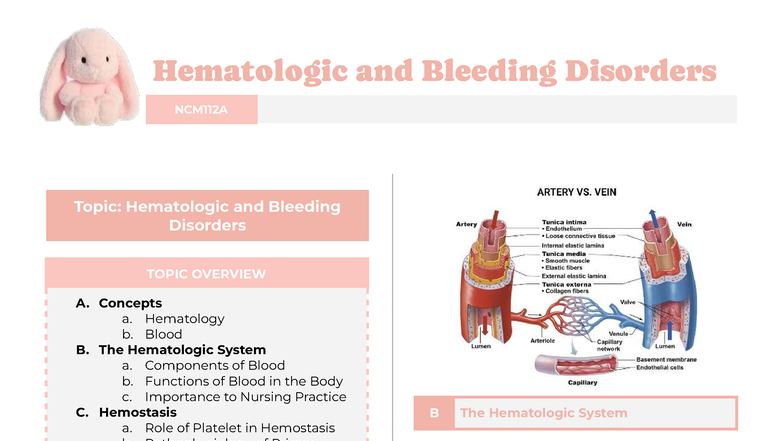 Hematologic and Bleeding Disorders Overview NCM112A Study Guide - Studocu