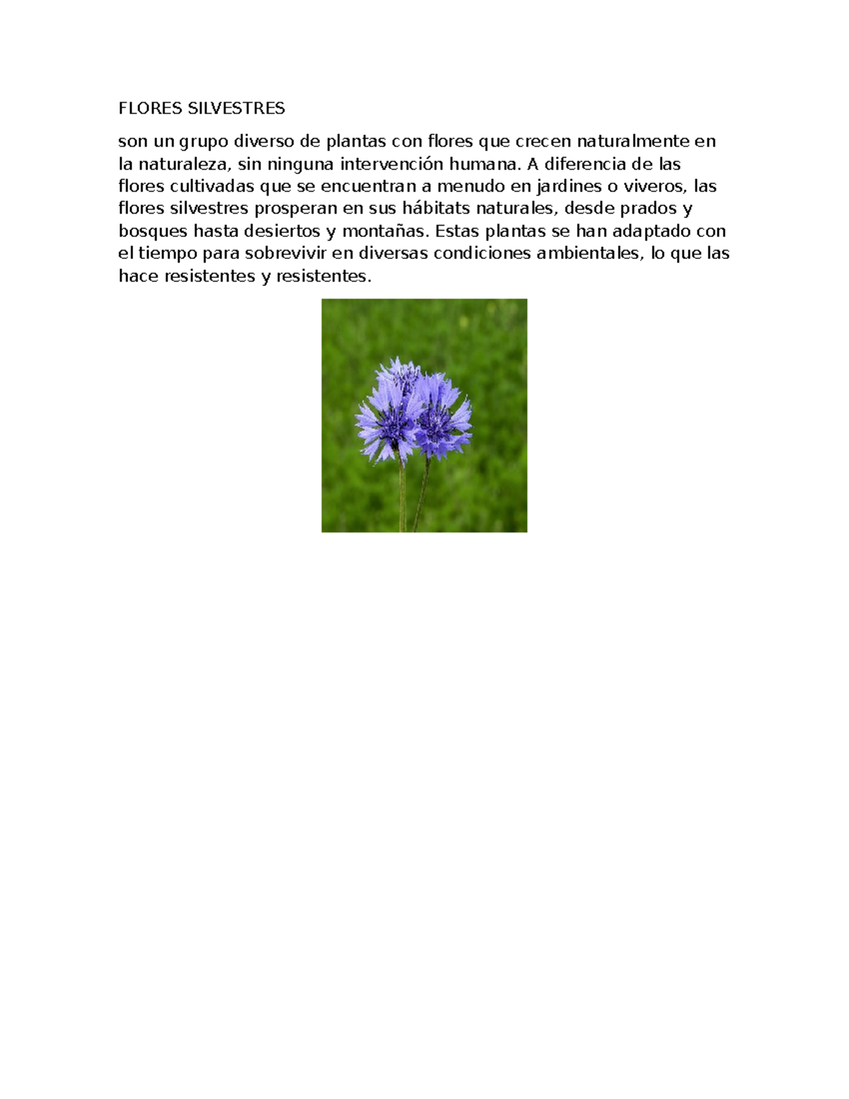 Flores Silvestres - HIST - Gestión de operaciones avanzadas - FLORES ...