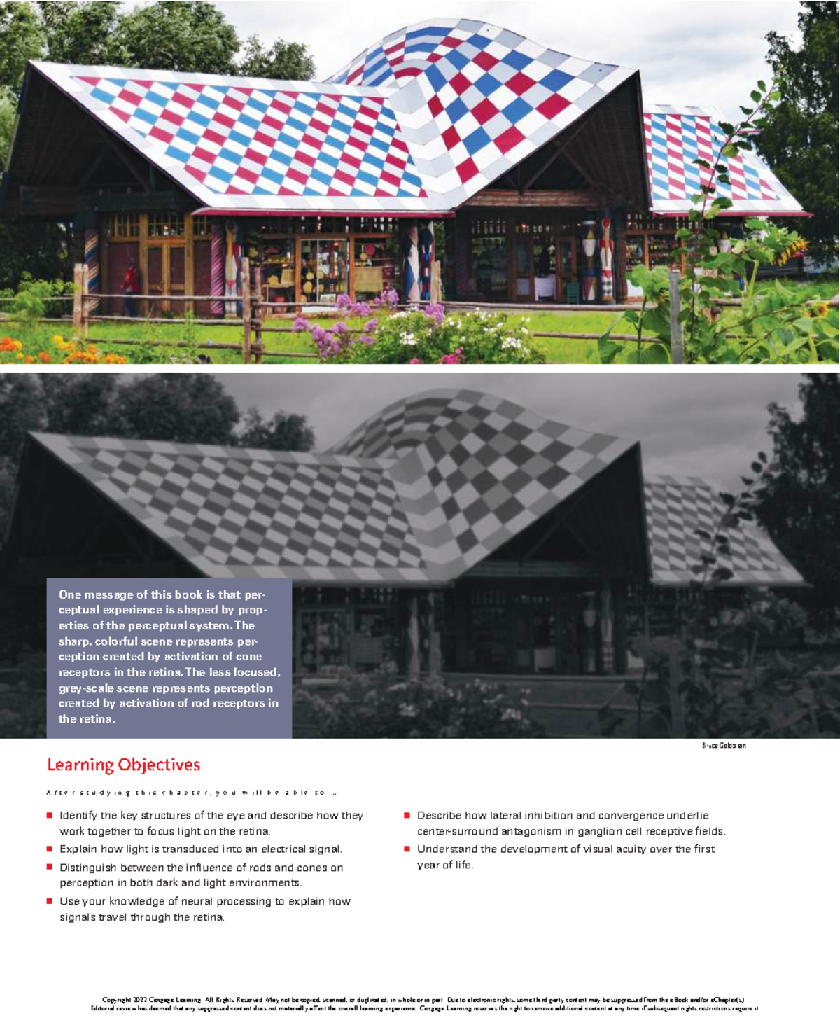Chapter 3: The Eye and Retina - Understanding Visual Perception (PSY ...
