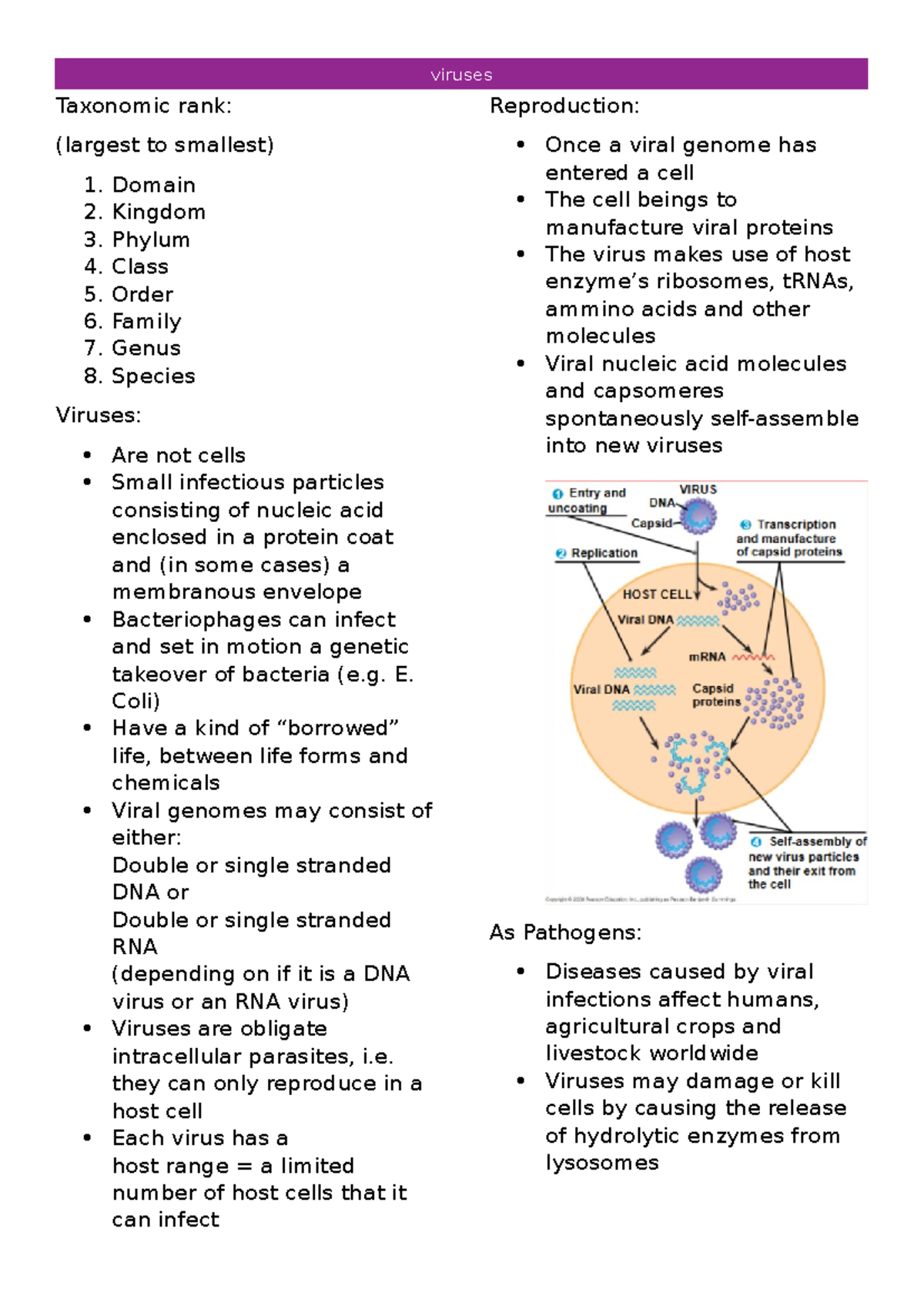 2. viruses - Taxonomic rank: (largest to smallest) 1. Domain 2. Kingdom ...
