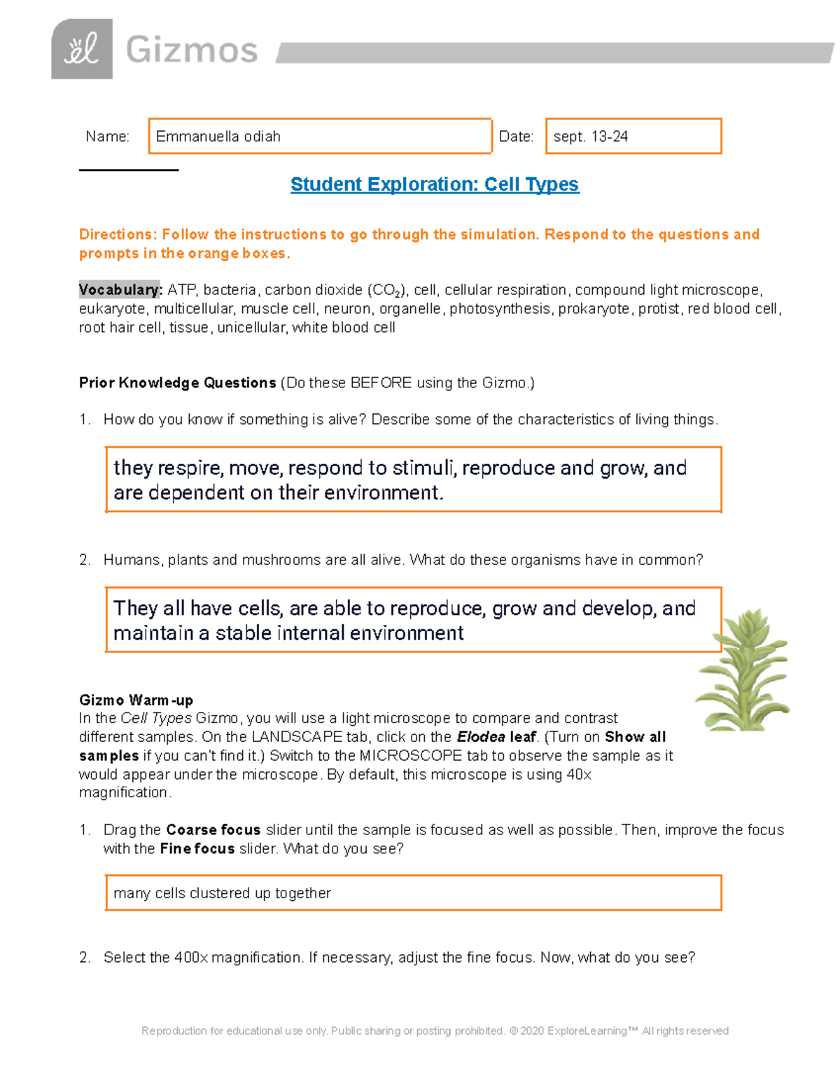 Cell Types SE Answer Key/Cheat Sheet (Biology 101) - Studocu
