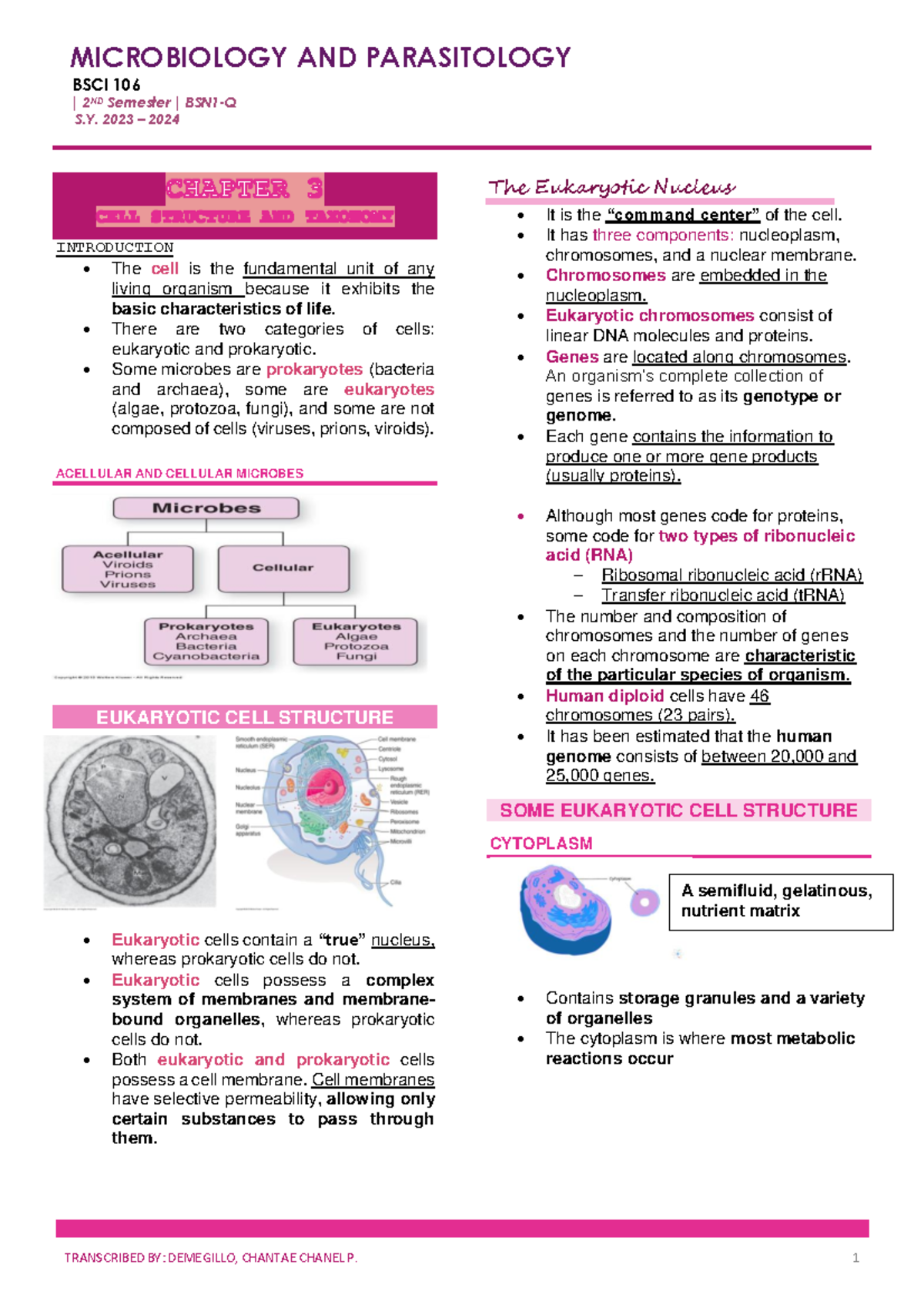 Chapter 3 CELL Structure - MICROBIOLOGY AND PARASITOLOGY BSCI 106 | 2 ND Semester | BSN1-Q S ...