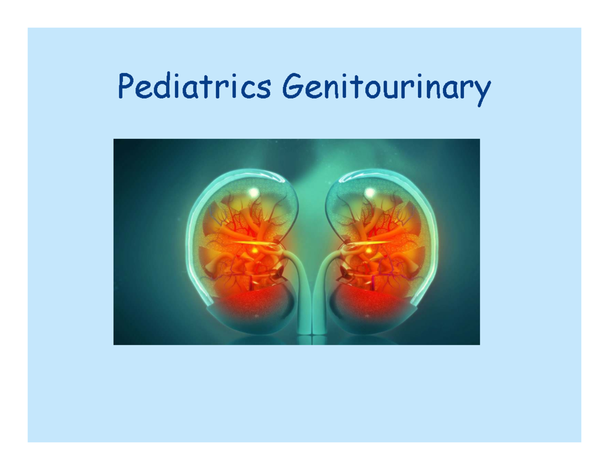 PEDS GU Lecture: Urinary System Functions & Assessment Techniques - Studocu