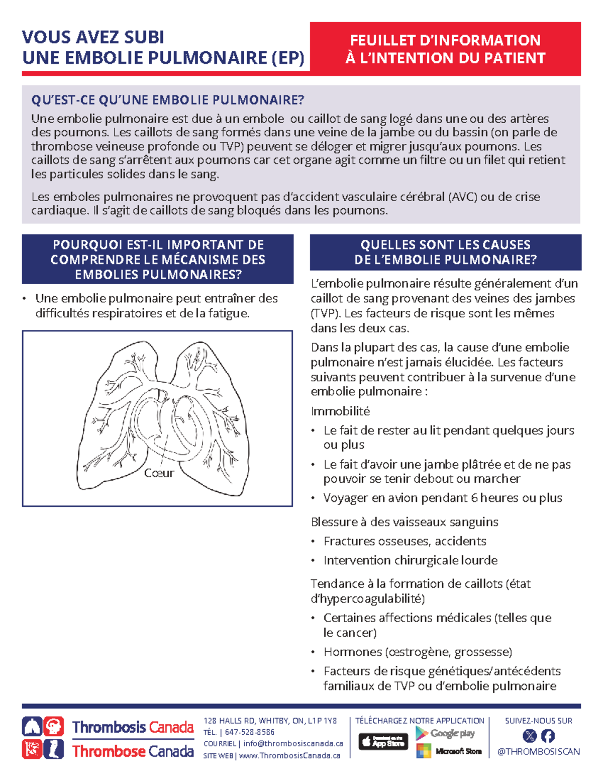 Comprendre l'Embolie Pulmonaire (EP) : Feuillet Patient 2024 - Studocu