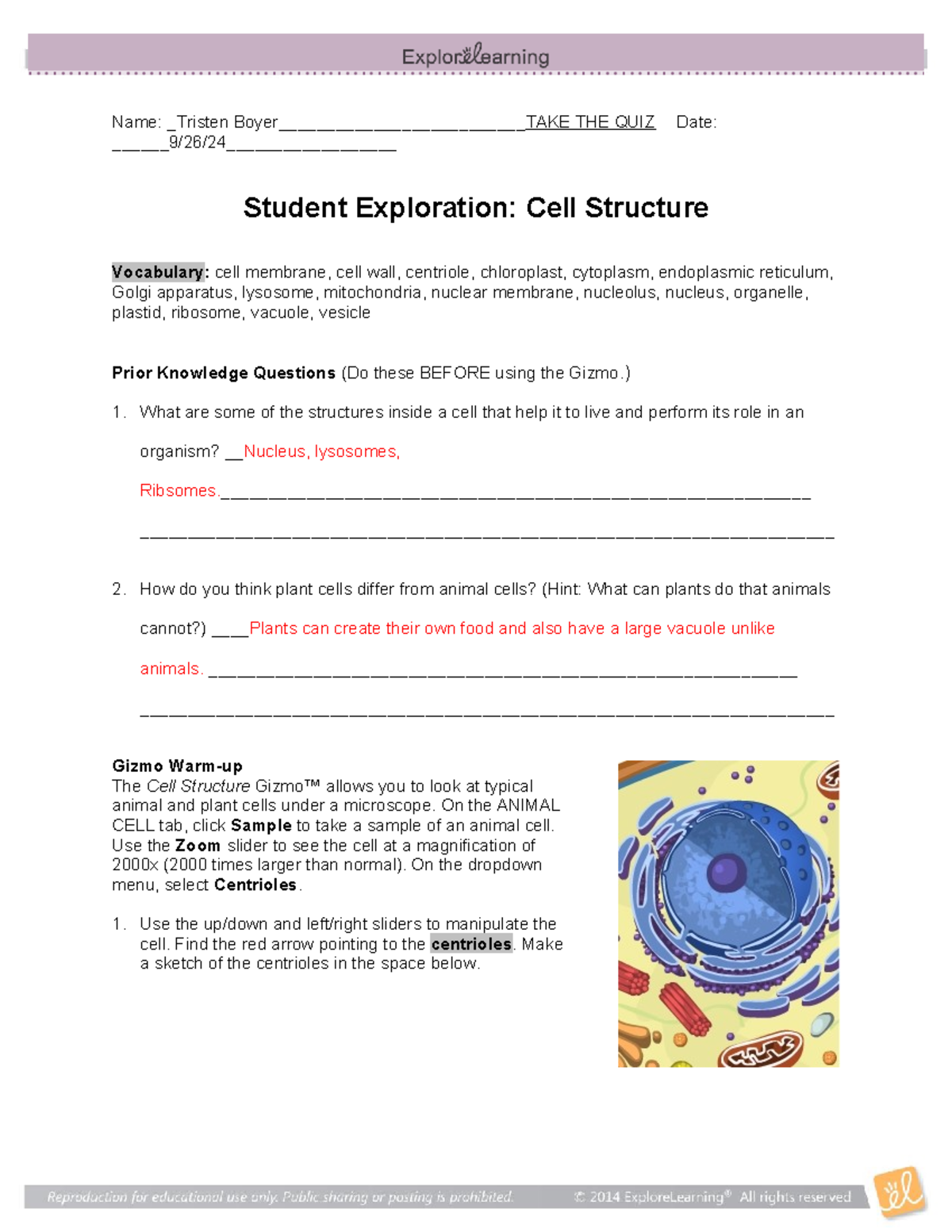 Cell Structure Quiz SE: Exploring Organelles in Plant and Animal Cells ...