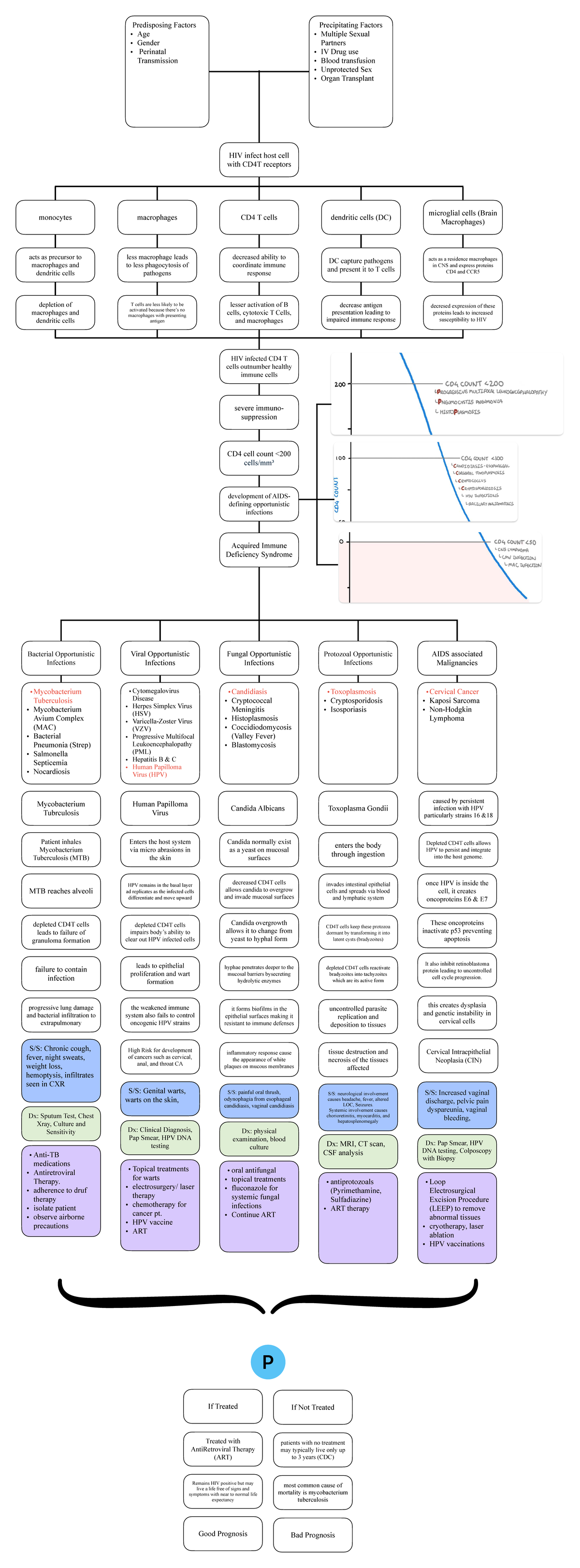 AIDS - Diagnostic Tests and Opportunistic Infections Notes - Studocu AIDS - Diagnostic Tests and Opportunistic Infections Notes - Studocu
