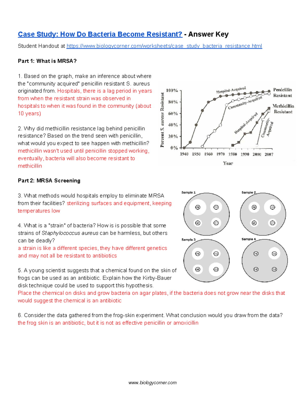 Case Study: Bacterial Resistance - MRSA Insights (Key Answers) - Studocu