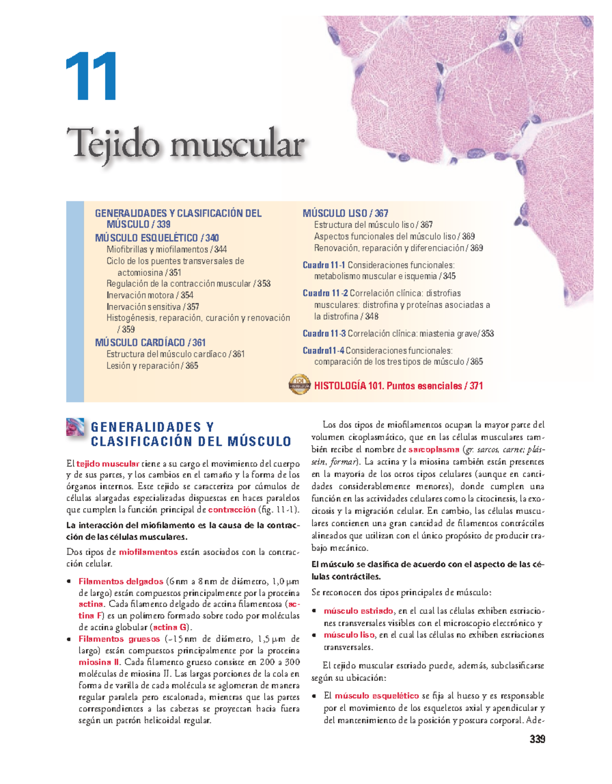 11 Tejido Muscular: Generalidades y Clasificación del Músculo ...