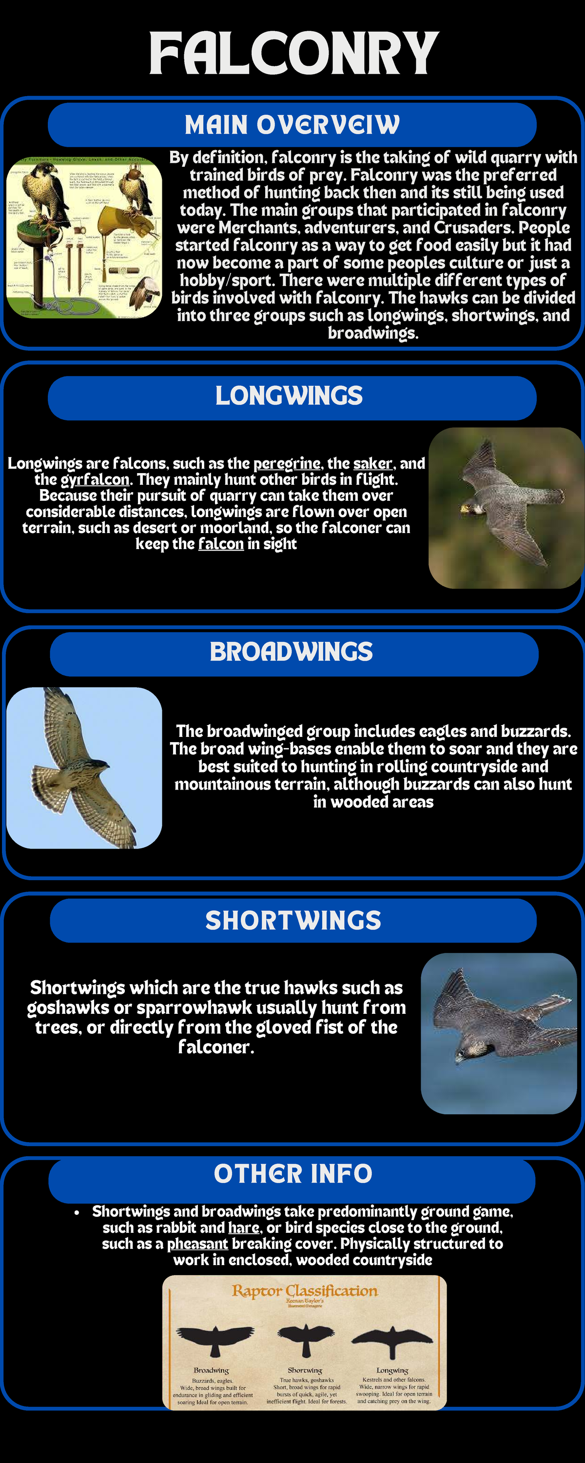 Falconry Overview: Types of Birds and Hunting Techniques - Studocu