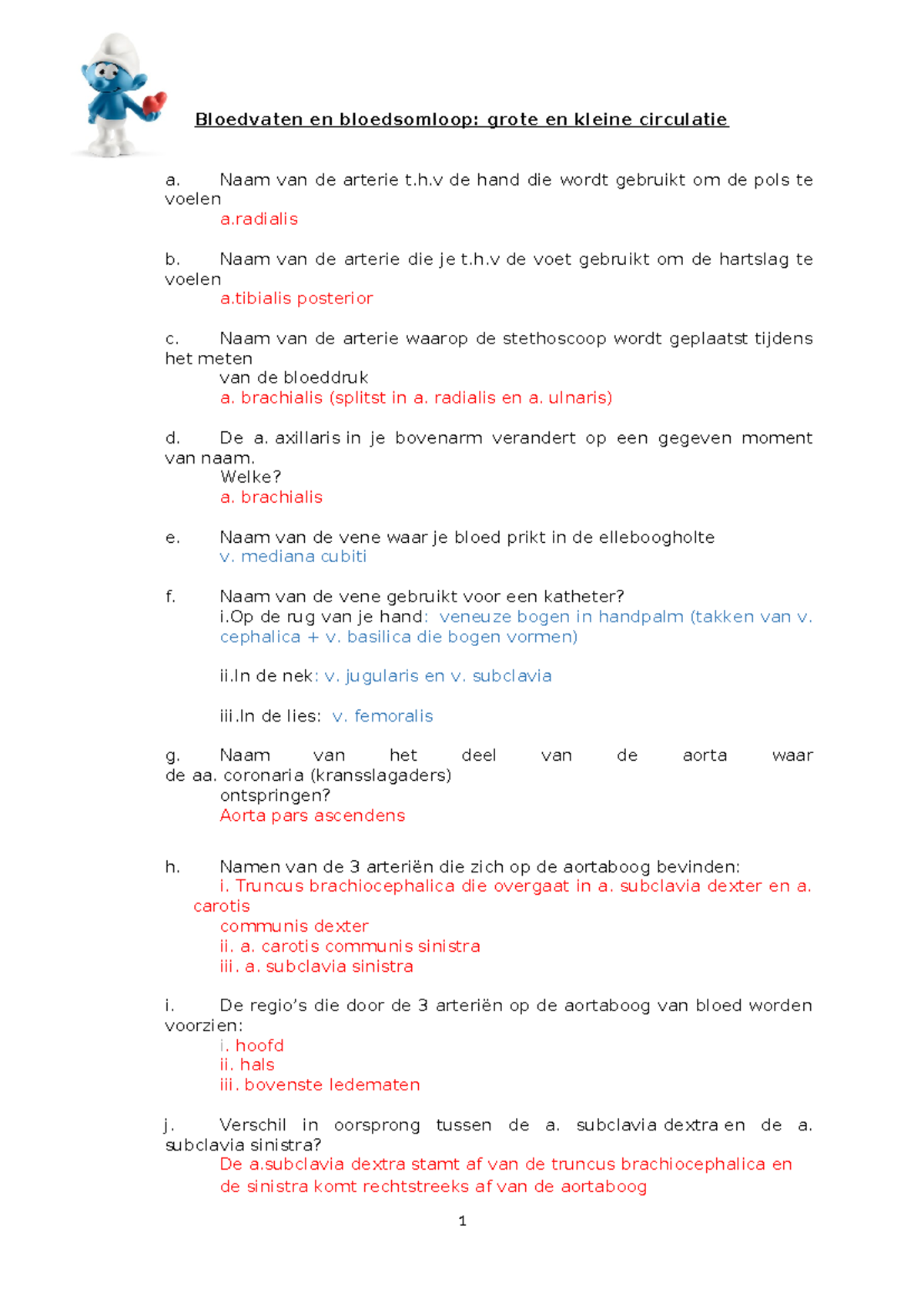 ZSO 11: Bloedvaten en Bloedsomloop Smurfenvragen en Antwoorden - Studocu