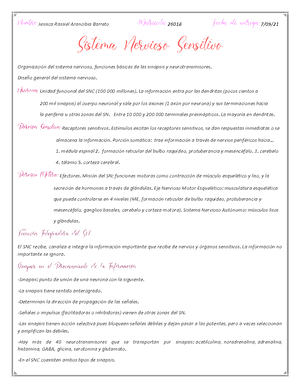 Platos Típicos DE Oruro - PLATOS TÍPICOS DE ORURO, BOLIVIA, QUE DEBES ...
