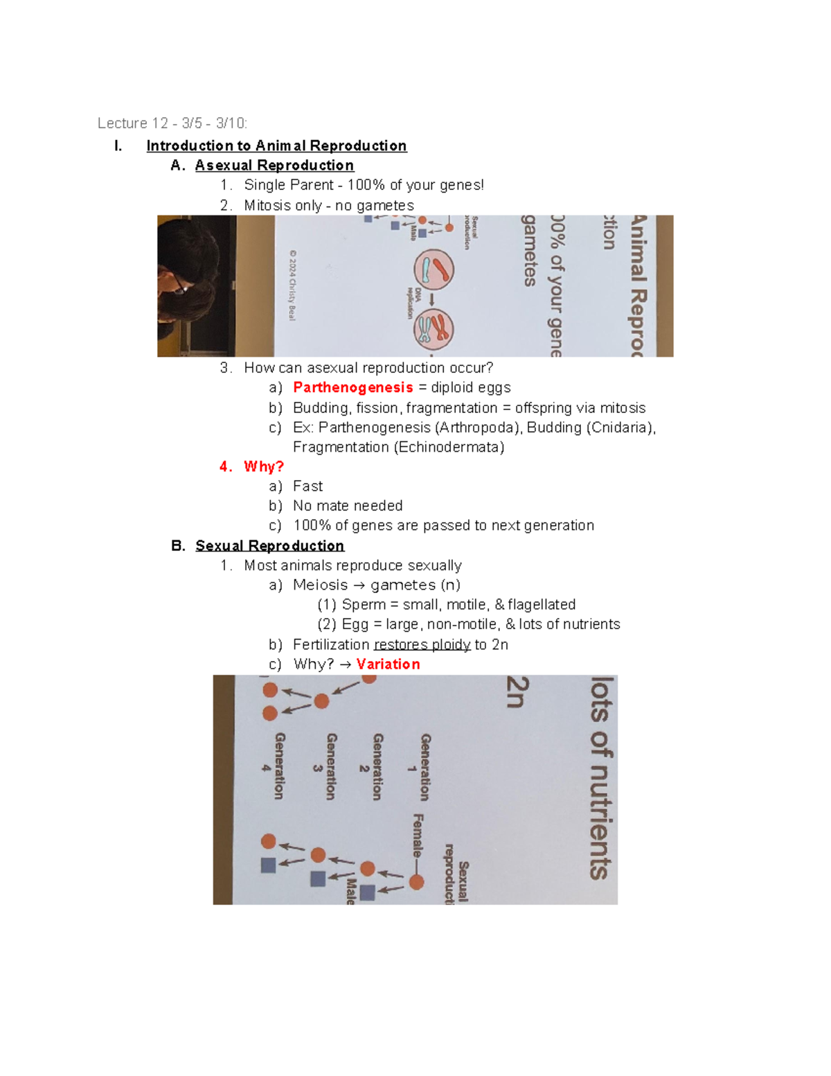 Bio 2 lec 12 - notes - Lecture 12 - 3/5 - 3/10: I. Introduction to ...