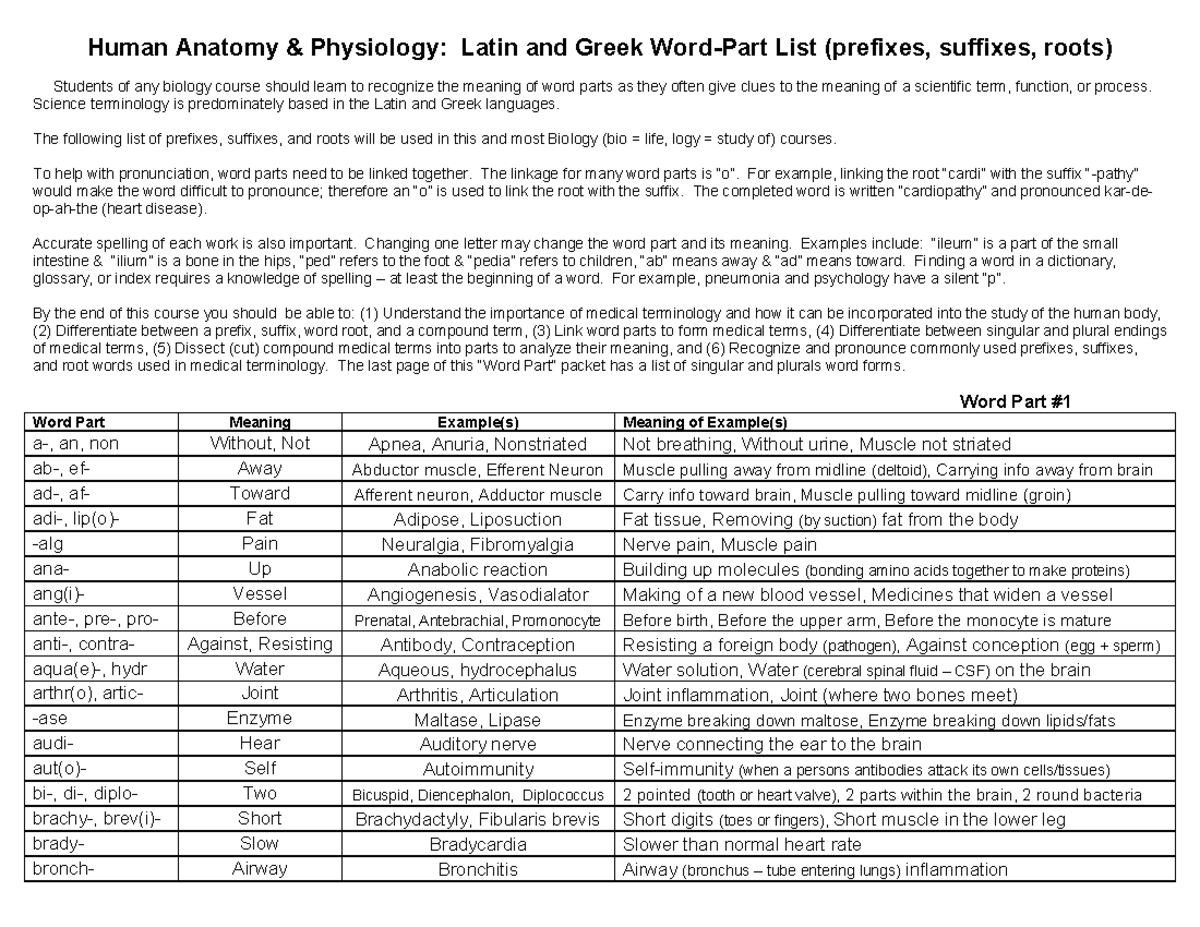 Human Anatomy & Physiology: Latin & Greek Word Parts Guide (BIO101 ...