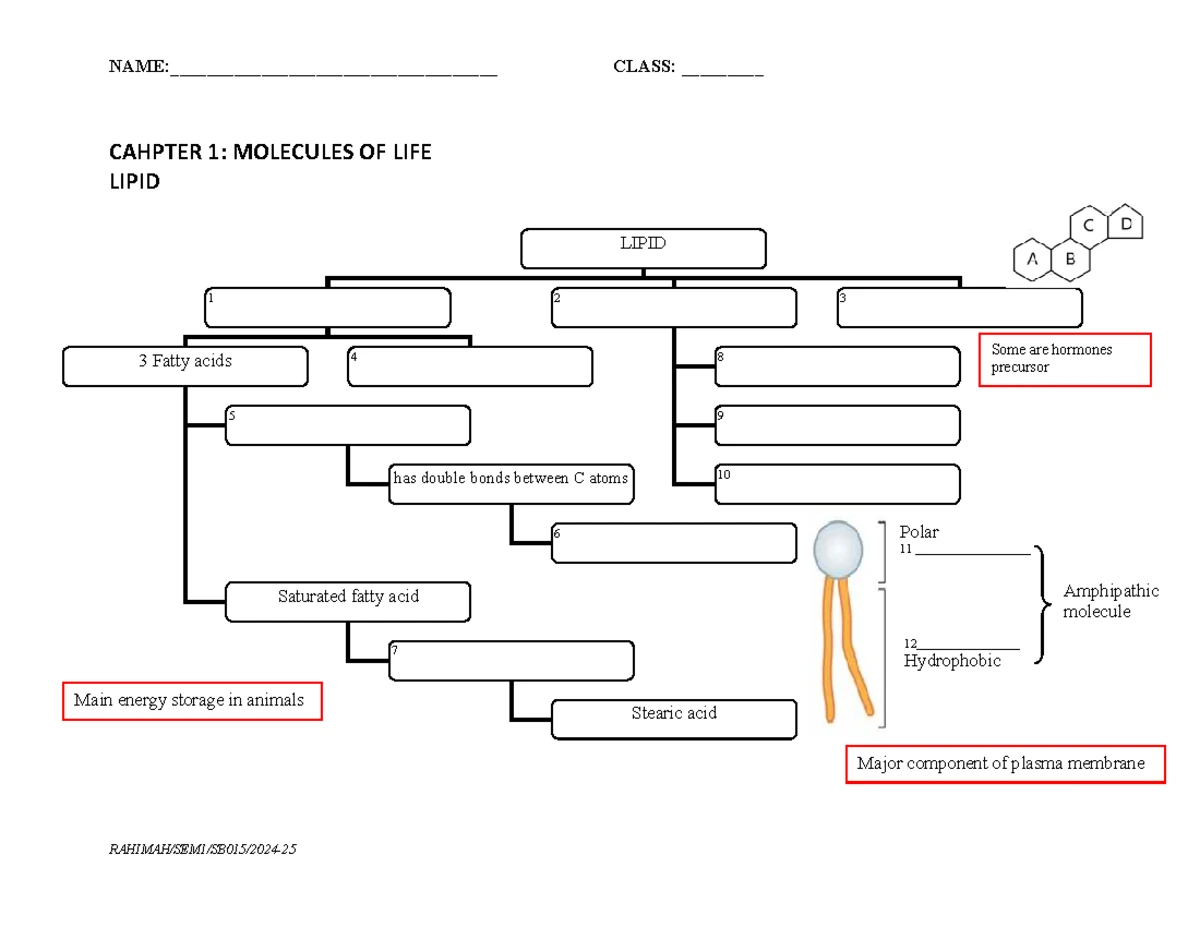 CHAPTER 1: MOLECULES OF LIFE - PROTEIN (SB015) - Studocu