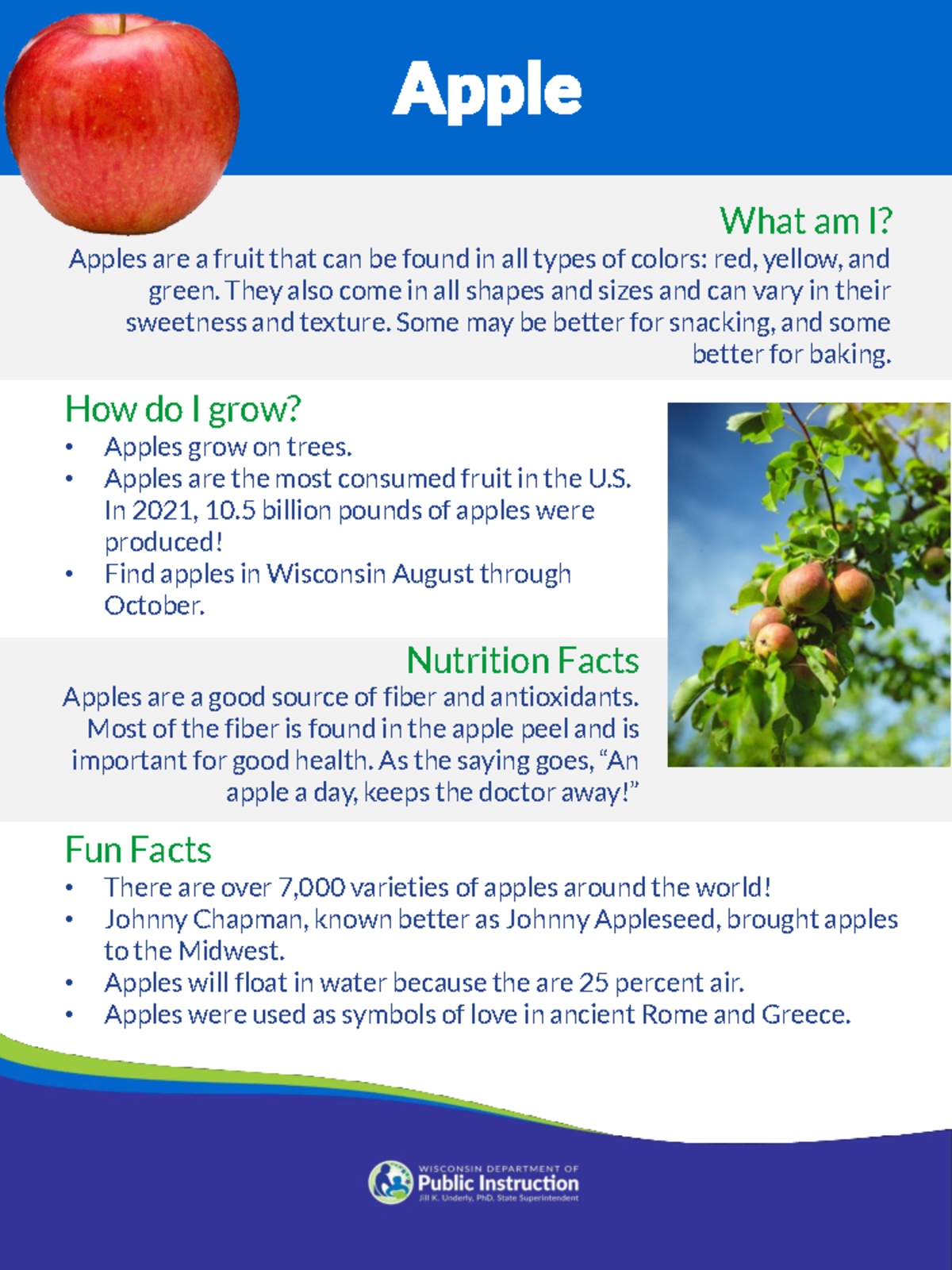 Fact Sheet: Apples - Varieties, Growth, and Nutrition - Studocu
