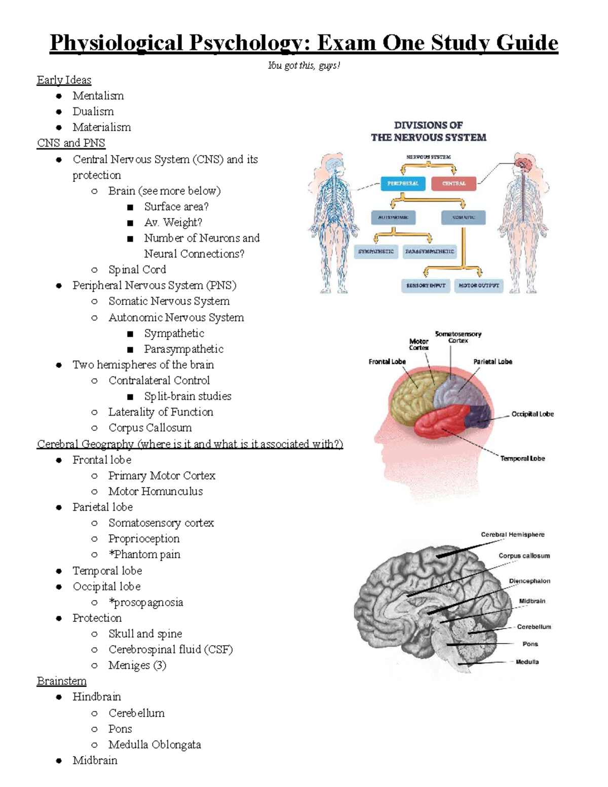 Physiological Psychology: Exam 1 Study Guide (TA Physio Psych) - Studocu