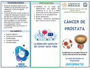 Entrega Recepción DE Paciente EN Cambio DE Turno - ENTREGA RECEPCIÓN DE ...