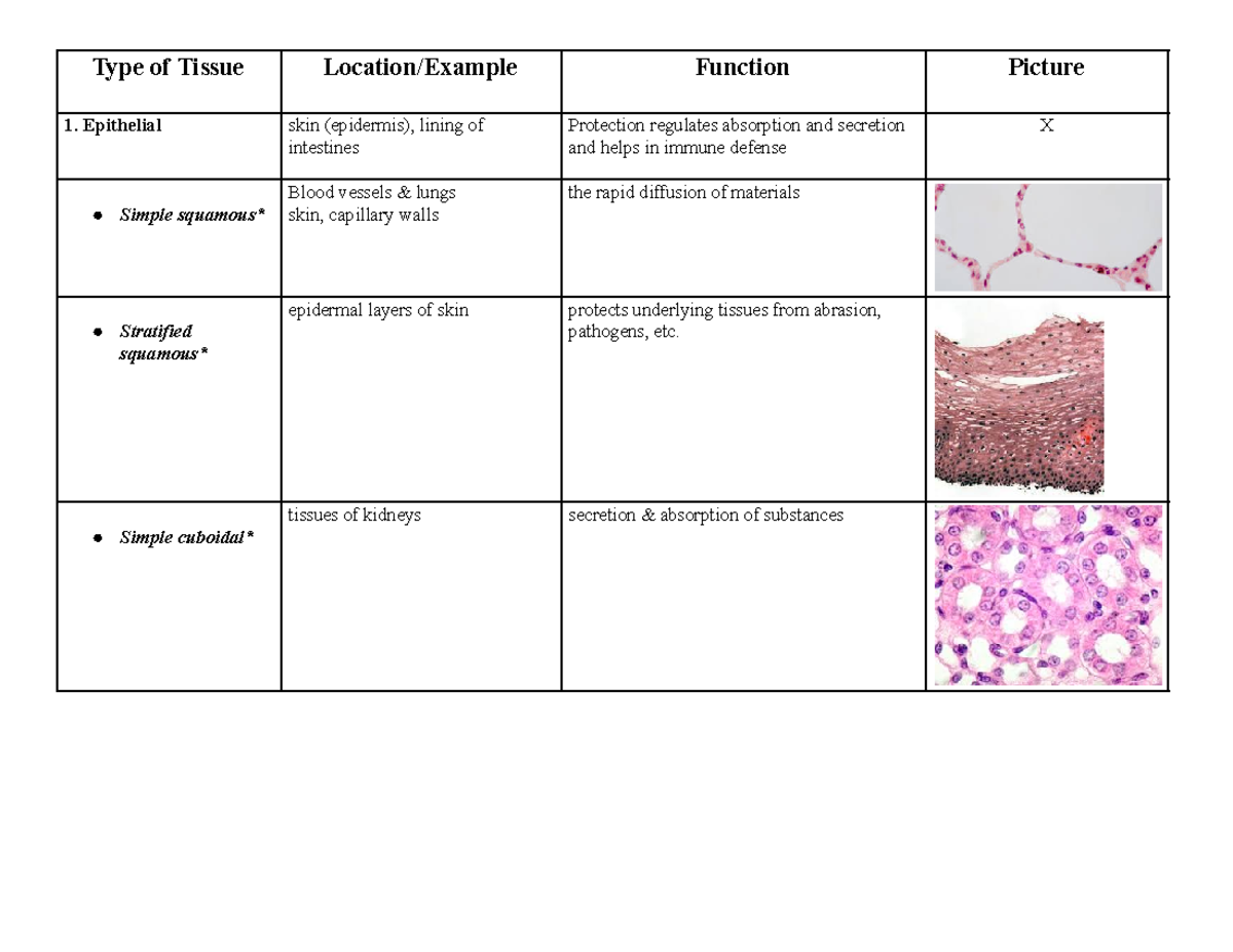 Copy of Tissues Graphic Organizer - Student Copy - Type of Tissue ...