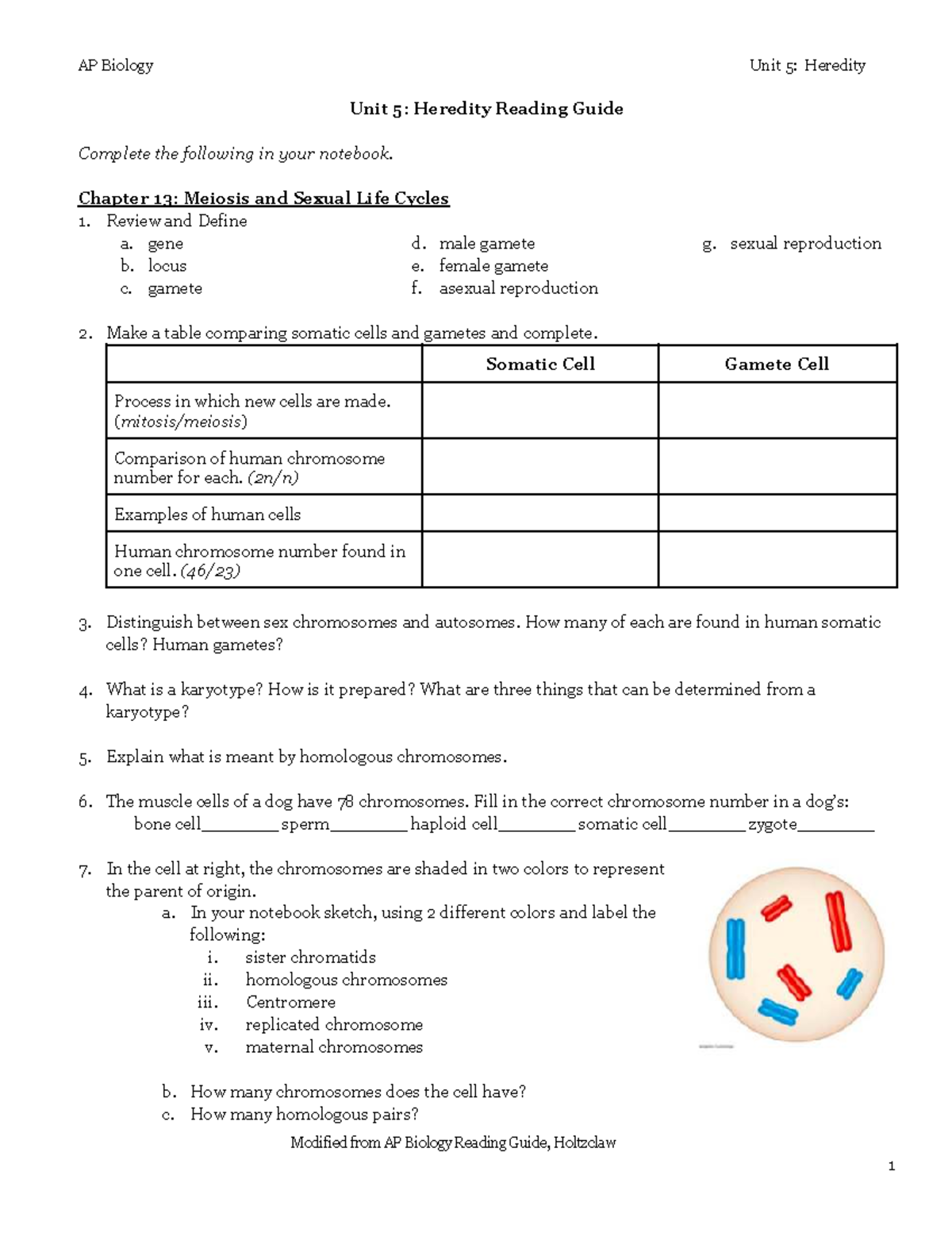 AP Biology Unit 5: Heredity Comprehensive Reading Guide - Studocu