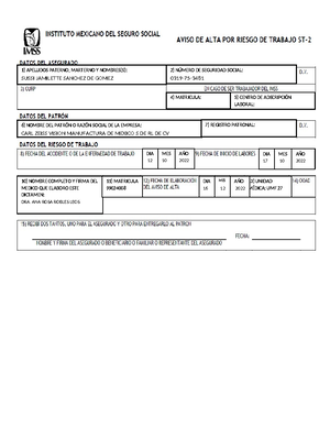 507846918 Ejemplo de cedula del SUA IMSS - SISTEMA ÚNICO DE ...