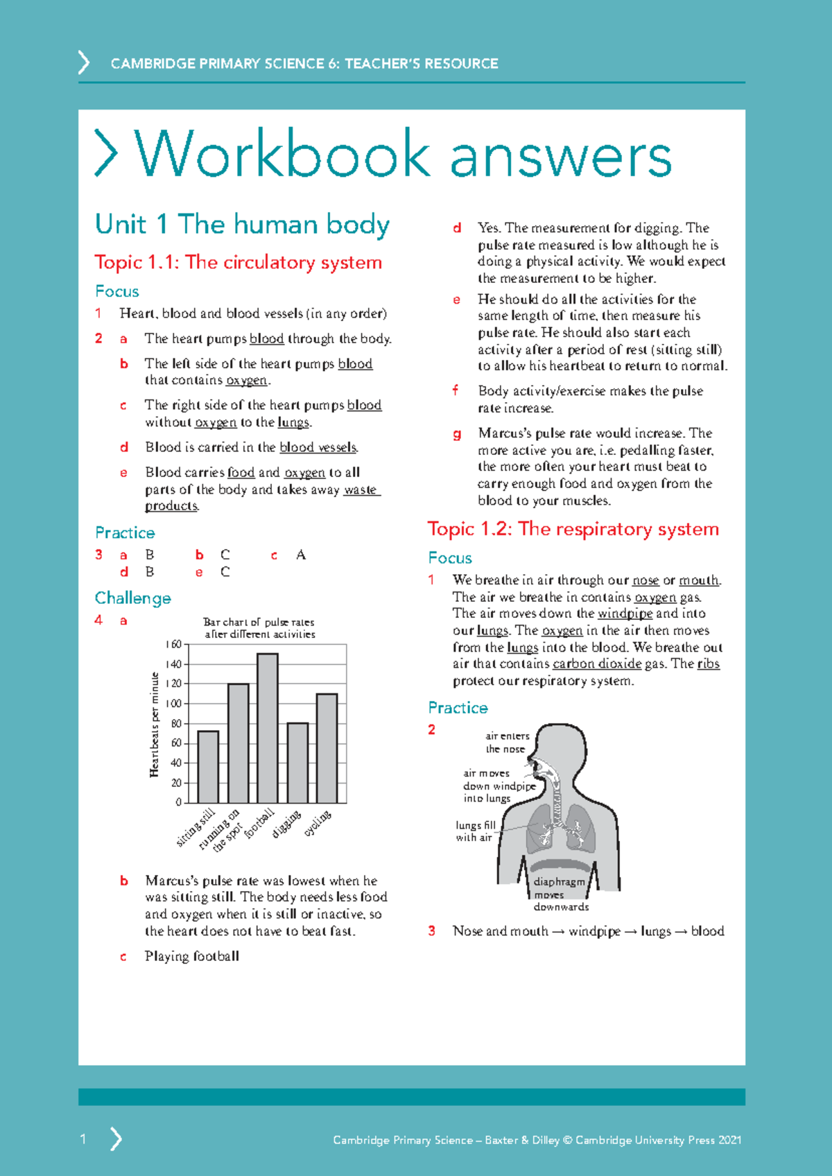 P Science 6 workbook answers - Workbook answers Unit 1 The human body Topic 1: The circulatory ...