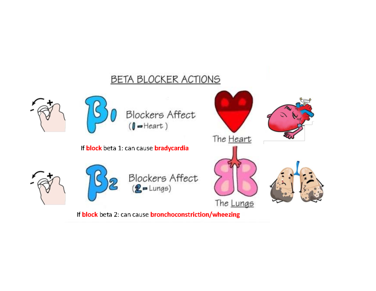 BETA Blockers: Mechanisms, Uses, and Nursing Considerations - Studocu