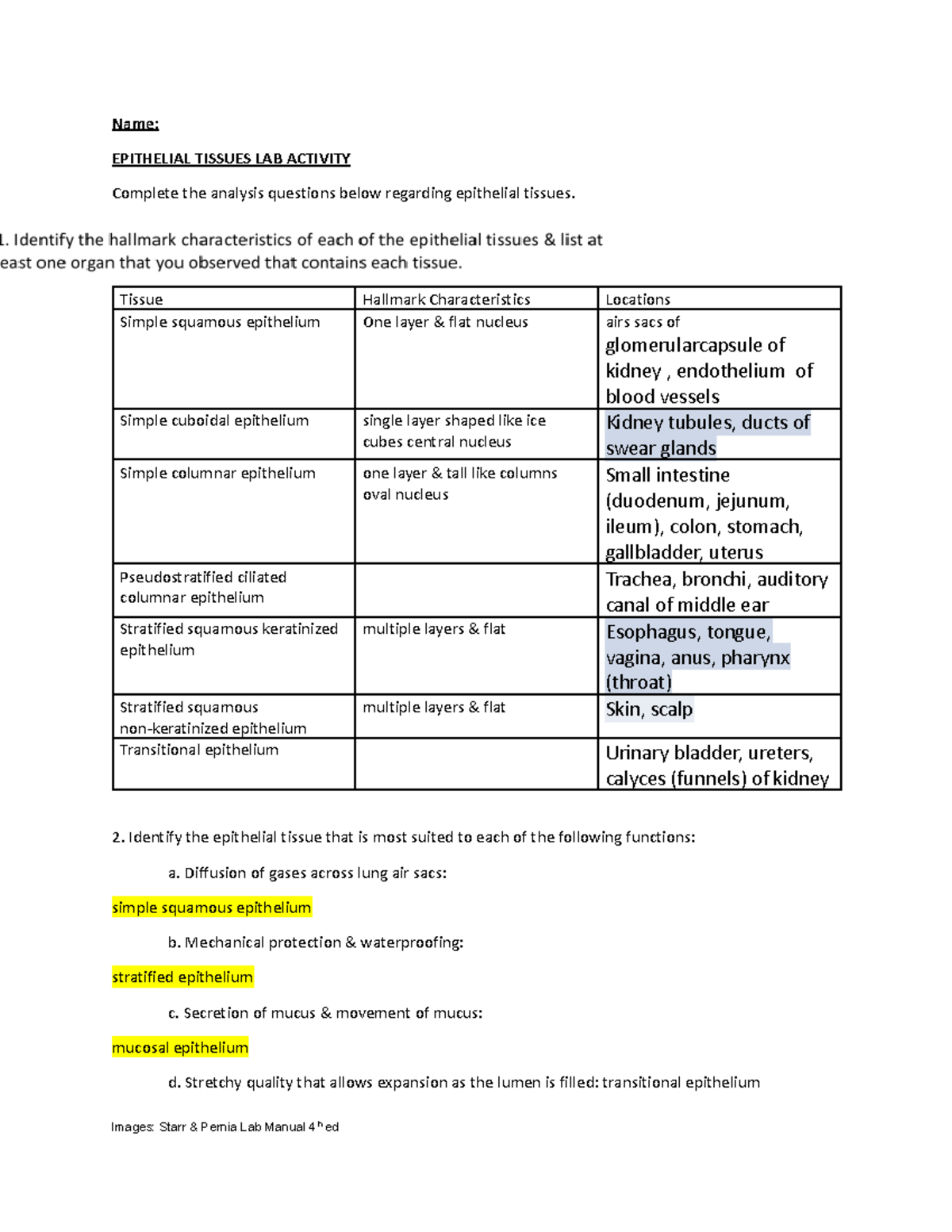 Lab 4: Epithelial Tissues Activity and Analysis Questions - Studocu