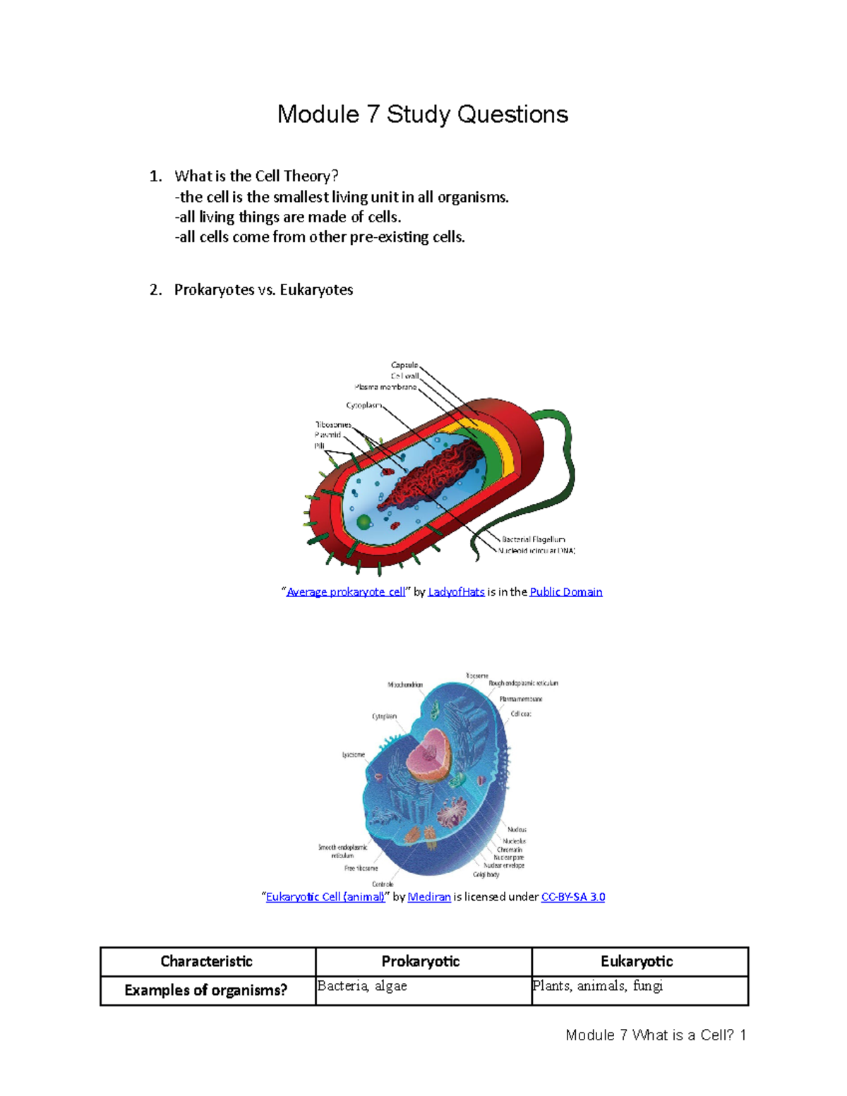 C190.v3 module 7 study questions - Module 7 Study Questions 1. What is ...