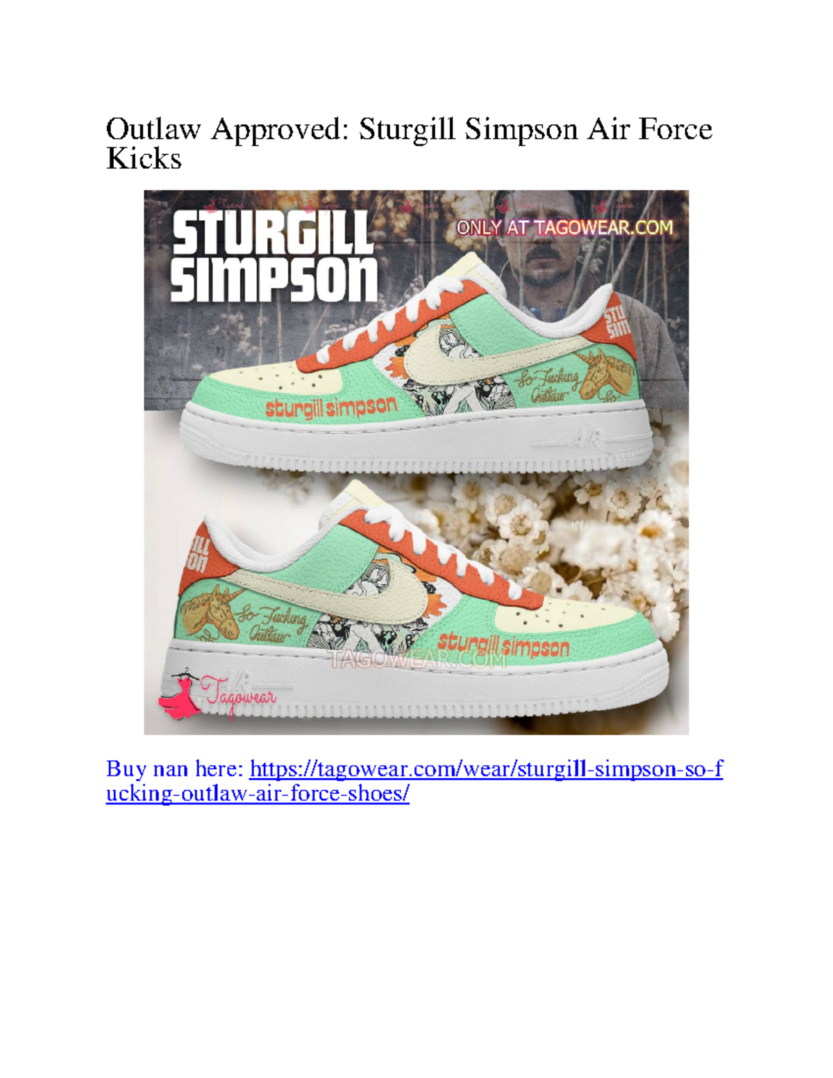 Outlaw Approved: Sturgill Simpson Air Force Kicks - BA05101 - Studocu