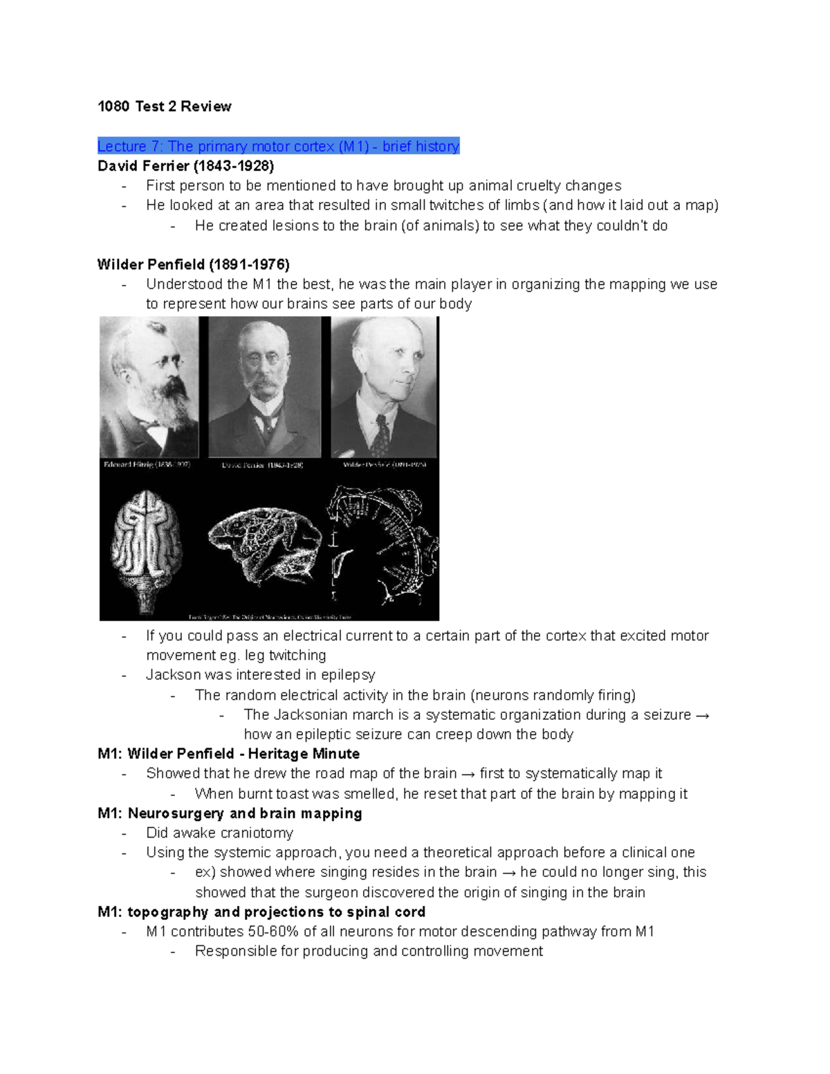1080 Test 2 Review: Insights on the Primary Motor Cortex (M1) - Studocu