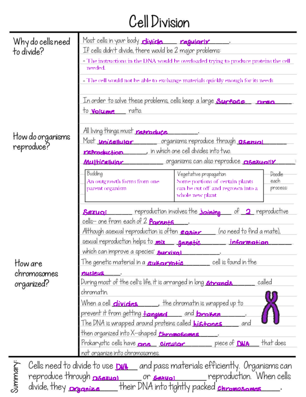3.4 Cell Growth and Division: Understanding Asexual & Sexual ...