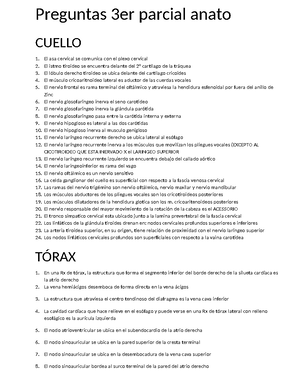 TP2 DORSO VERTEBRAS: Características y Anatomía Detallada - Studocu