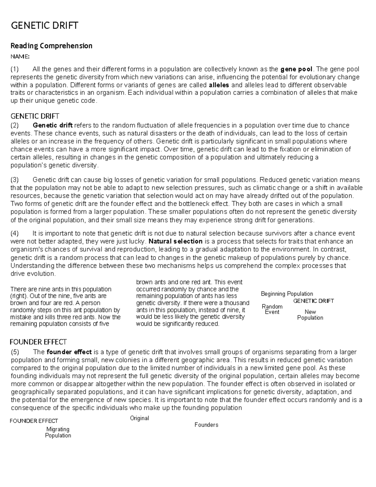 Genetic Drift: Reading Comprehension & Worksheets (Biology 101) - Studocu