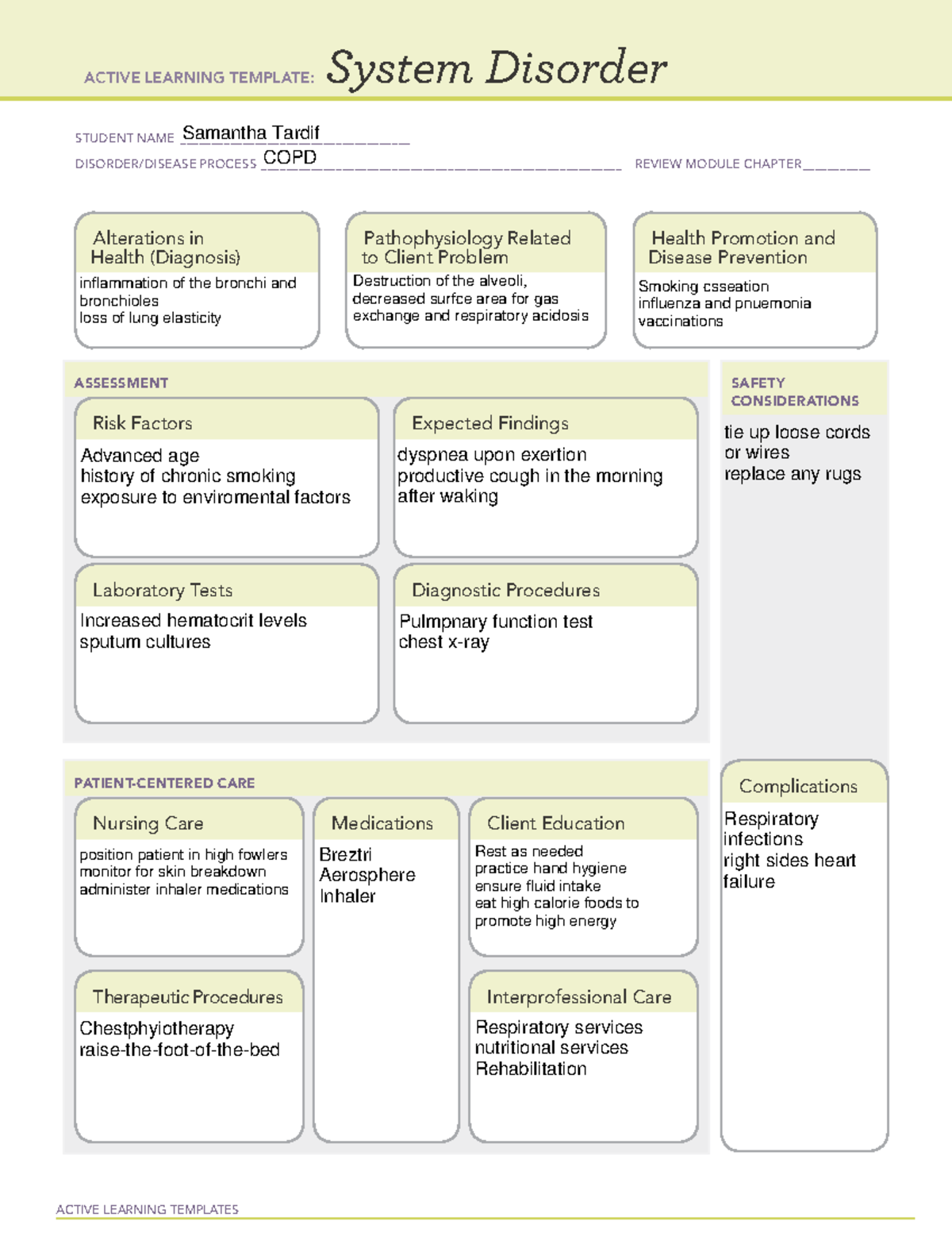 ATI Concept Map - ACTIVE LEARNING TEMPLATES System Disorder STUDENT ...