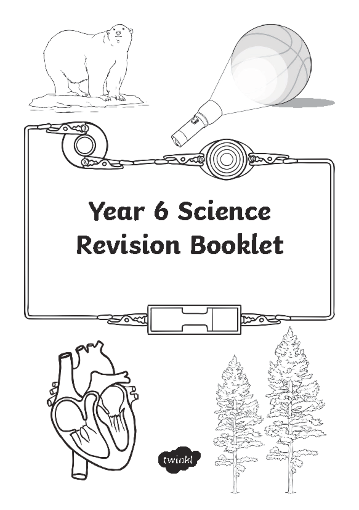 Year 6 Science Revision Booklet: Key Concepts & Topics Explained - Studocu